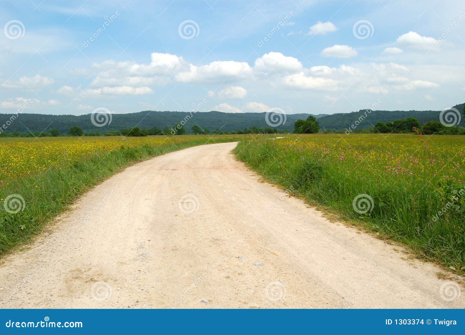 Dusty Road stock photo. Image of pasture, meadow, meadowland - 1303374