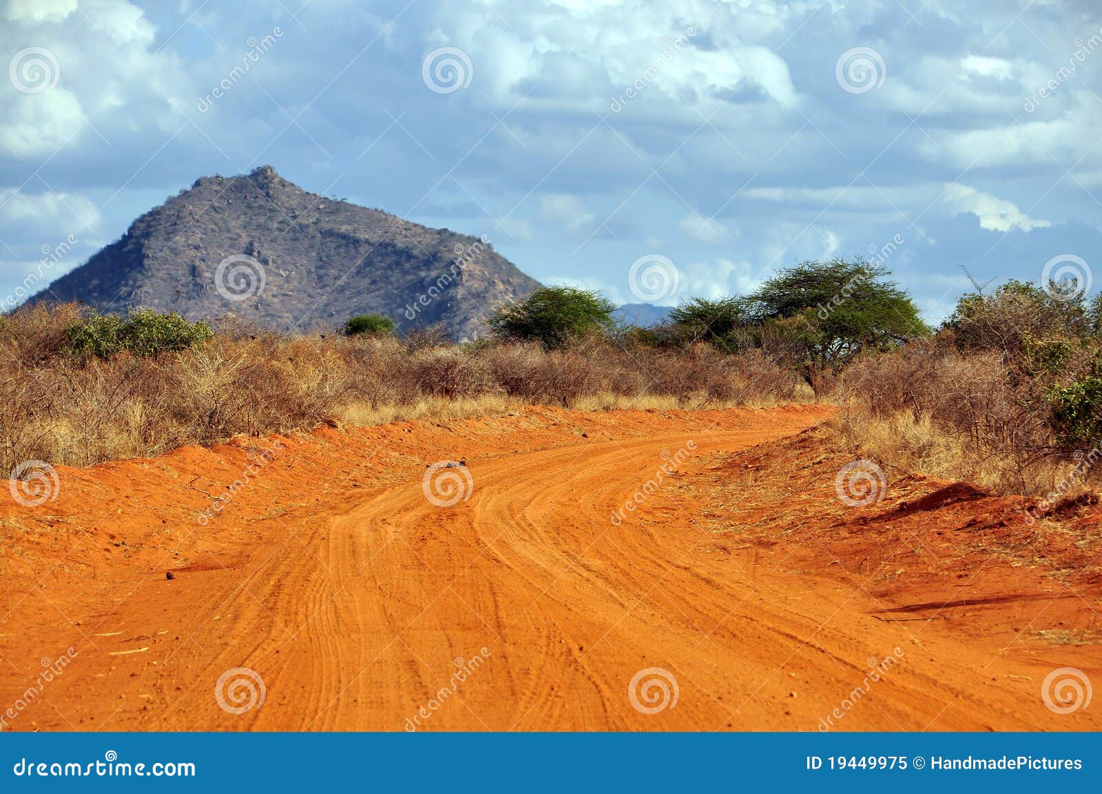 Dusty Road in a African National Park Stock Image - Image of ...