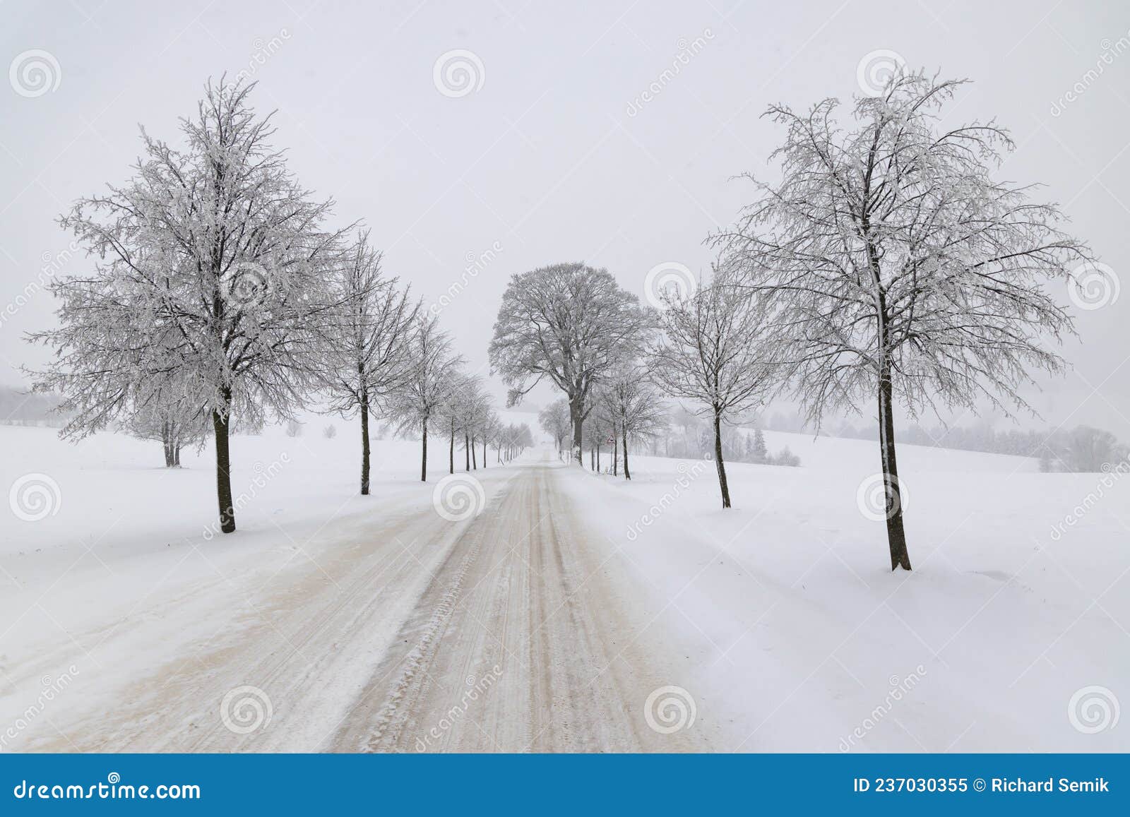 Dusty road with fresh snow stock image. Image of country - 237030355