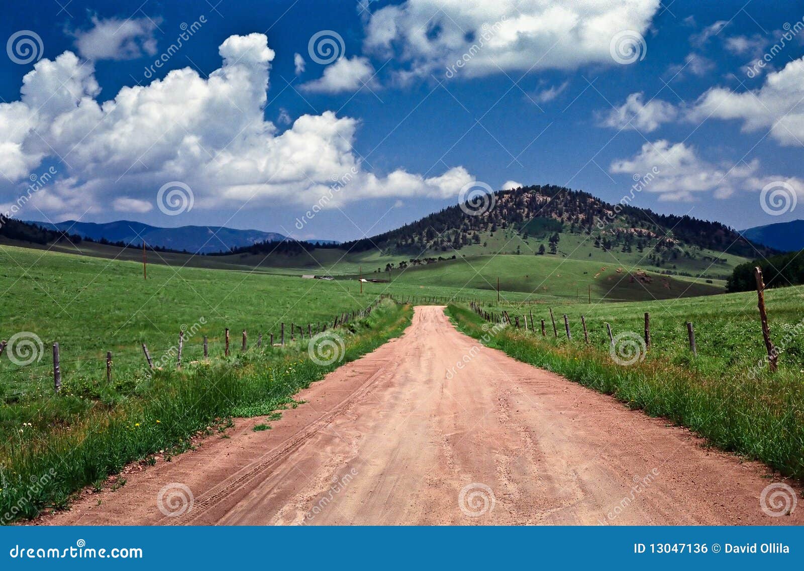 Dusty Road through Green Hilly Pasture Land Stock Photo - Image of ...