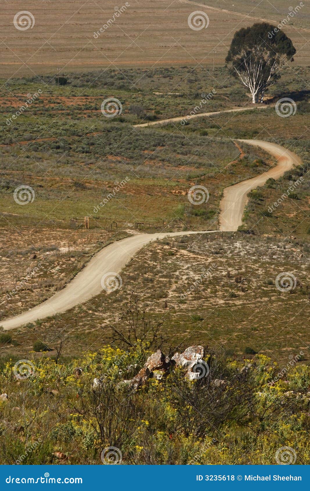 5,577 Dusty Tree Photos - Free & Royalty-Free Stock Photos from Dreamstime