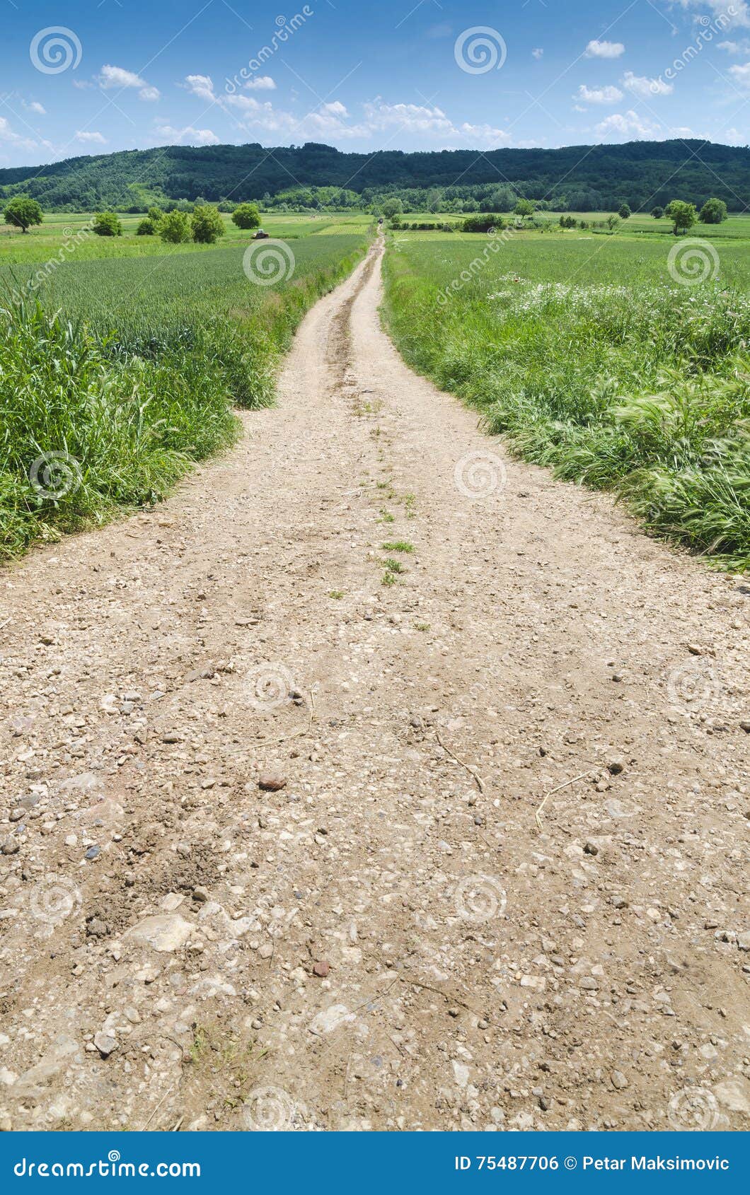 Dusty road to fields. stock photo. Image of building - 75487706