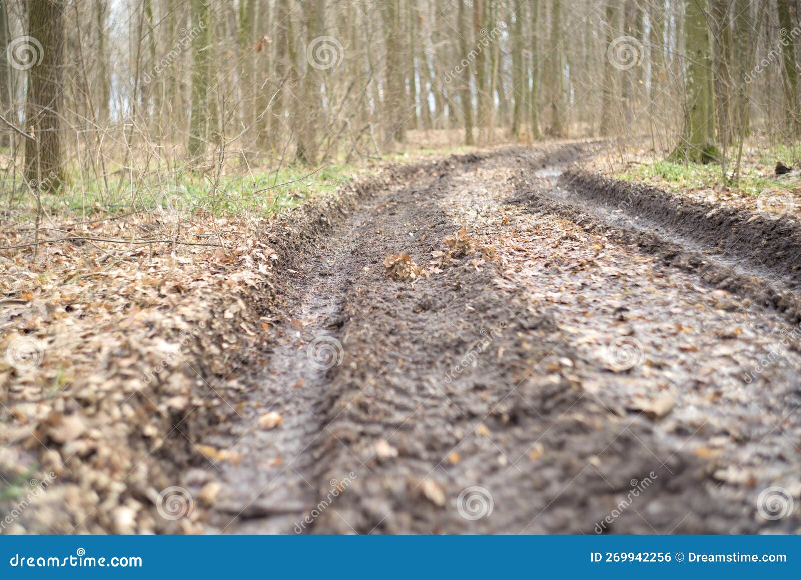 Dusty Road Turn in the Forest Stock Photo - Image of cross, track ...