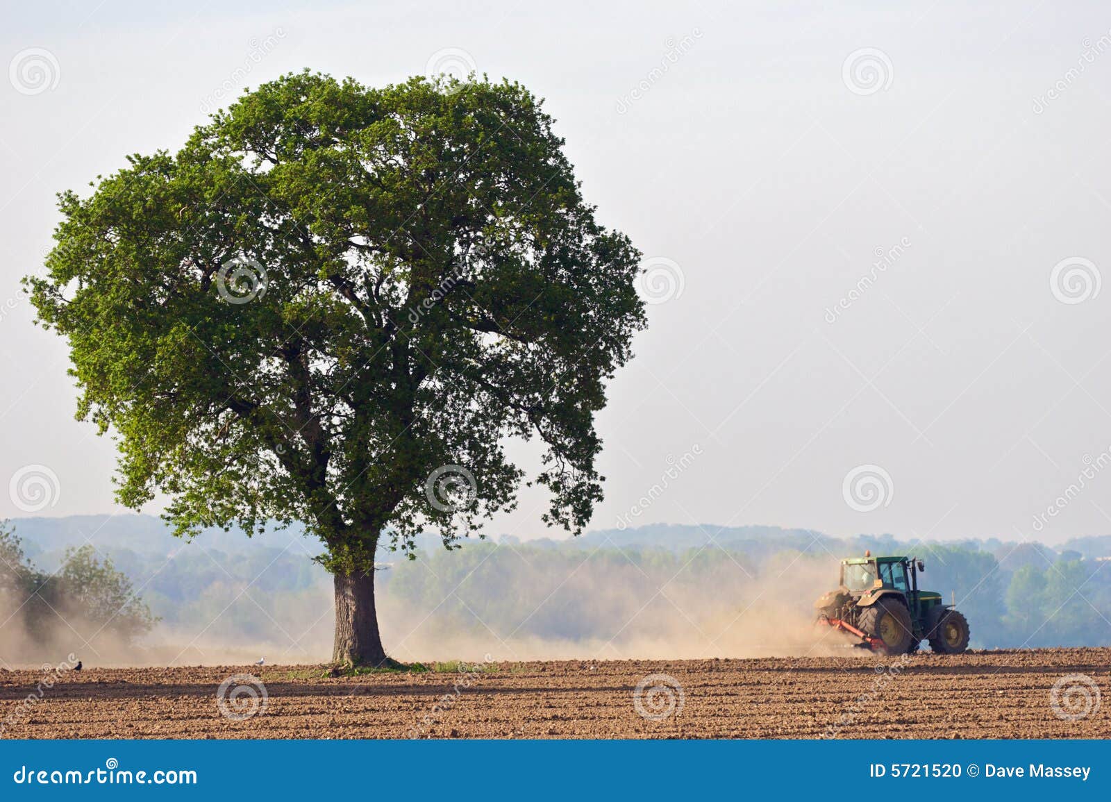 Dusty Tractor Tree stock photo. Image of plow, crops, tractor - 5721520