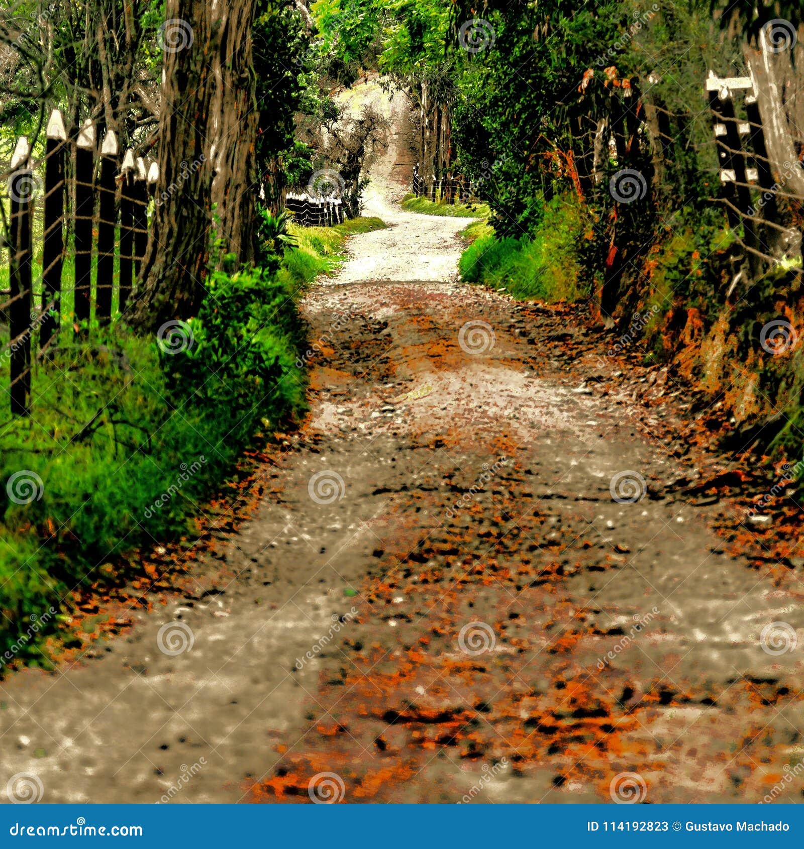 Long and dusty roads stock image. Image of long, trail - 114192823
