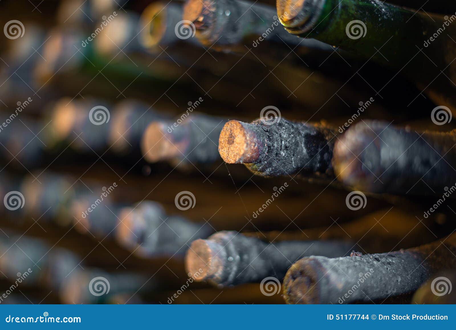 Dusty wine bottles. stock photo. Image of alcohol, grapevine - 51177744