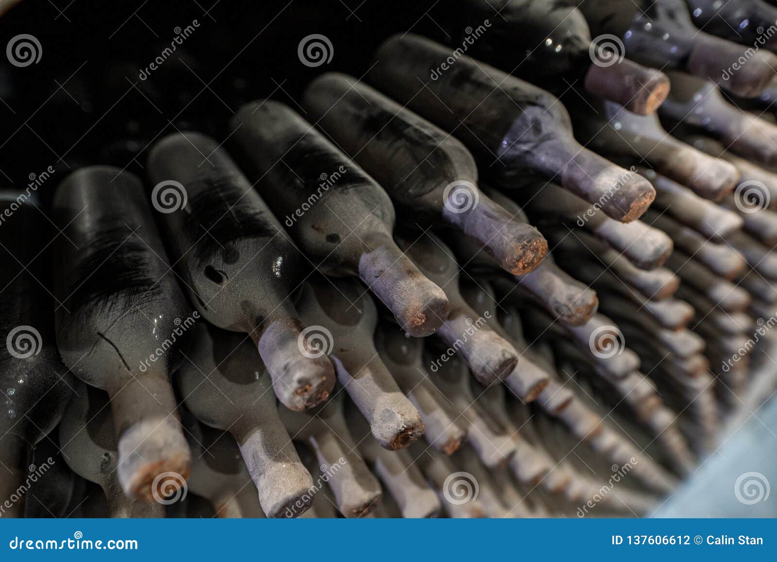 Dusty Wine Bottles in Winery Stock Photo - Image of store, dust: 137606612
