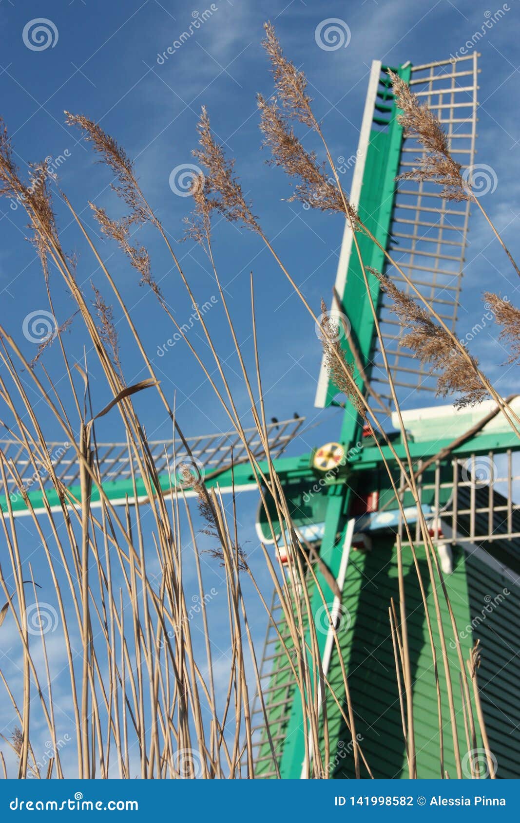 Dutch Ancient Windmill Built from Wood. Typical Structure of the ...