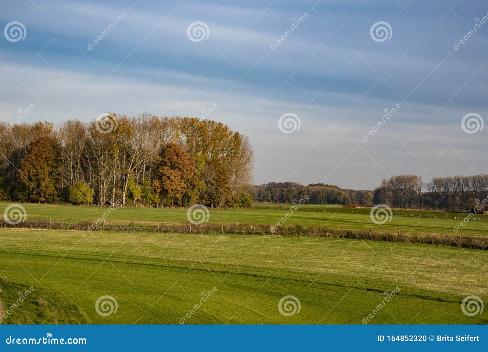 Dutch Autumn Landscape with Beautiful Colored Trees Stock Photo - Image ...