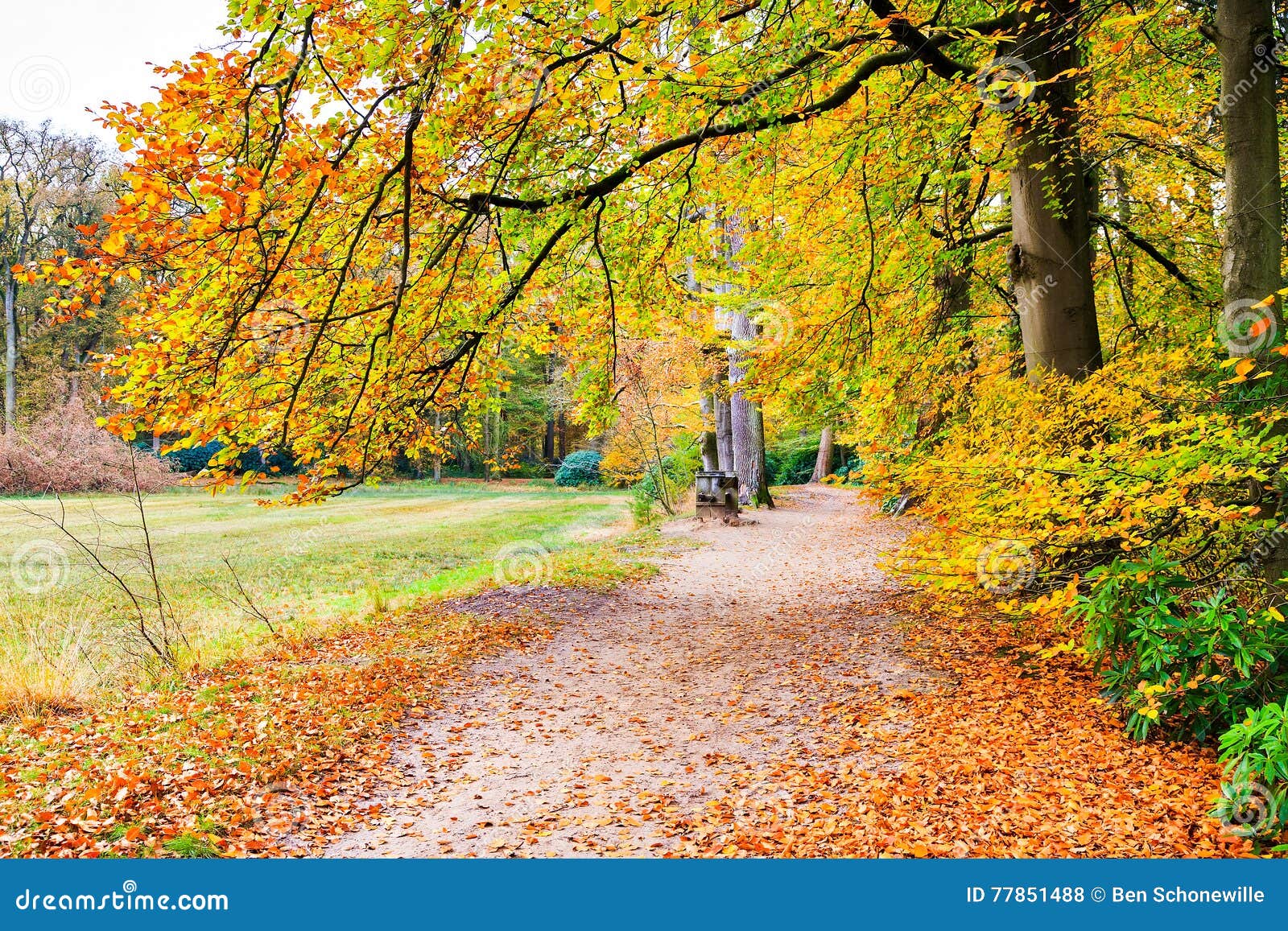 Dutch Autumn Landscape with Footpath and Beech Trees Stock Photo ...