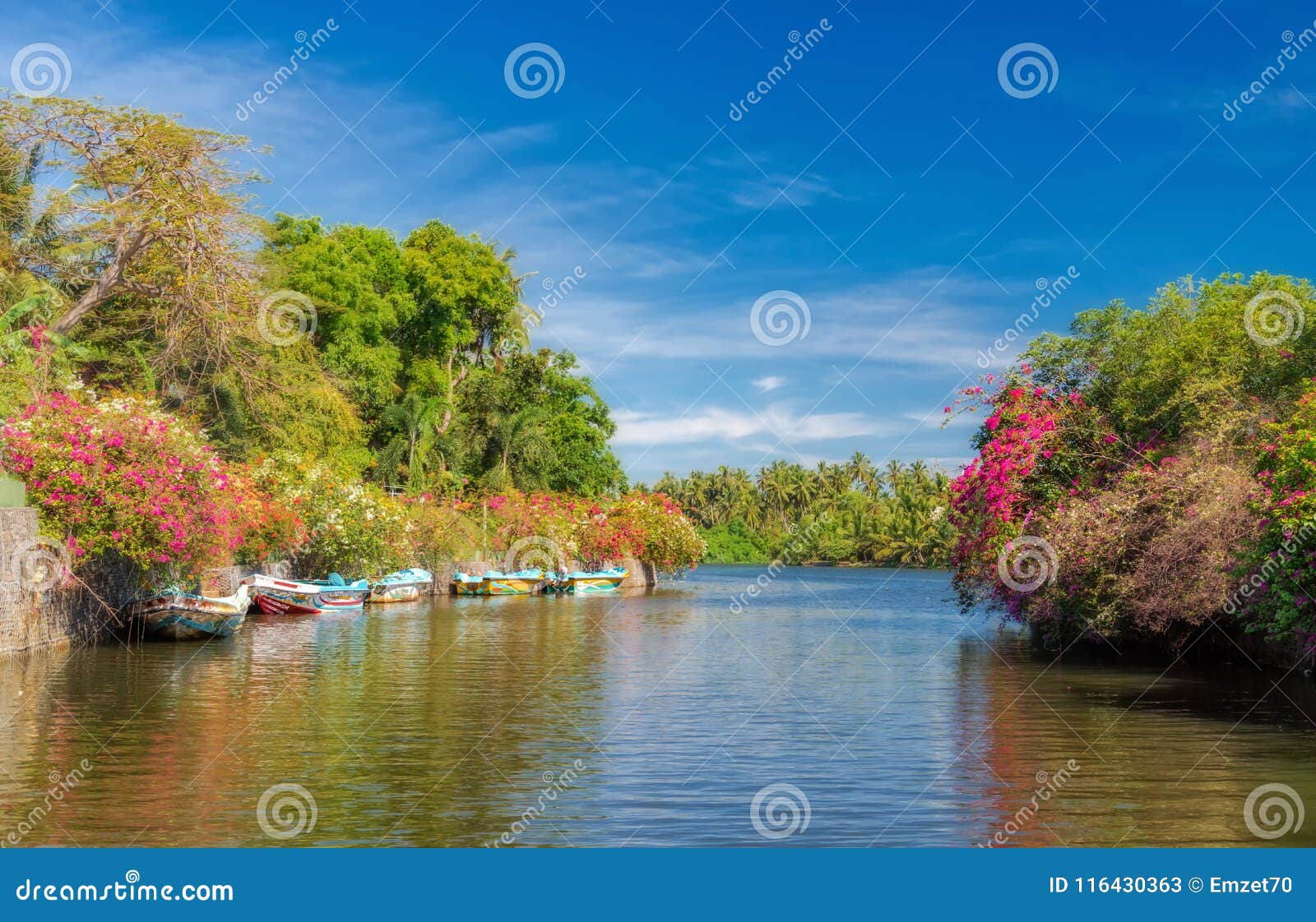 Dutch canal in Negombo. stock image. Image of architecture - 116430363