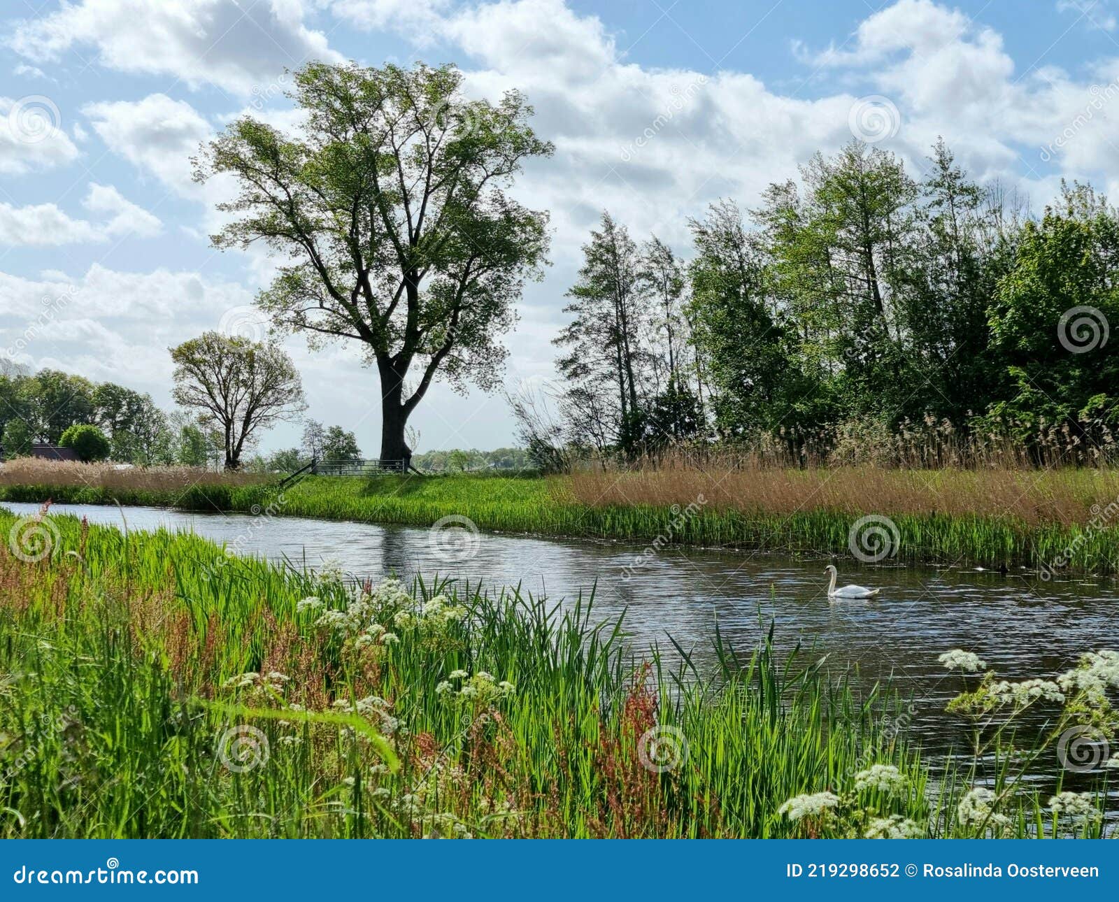 A dutch channel stock photo. Image of clouds, water - 219298652