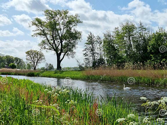 A dutch channel stock photo. Image of clouds, water - 219298652
