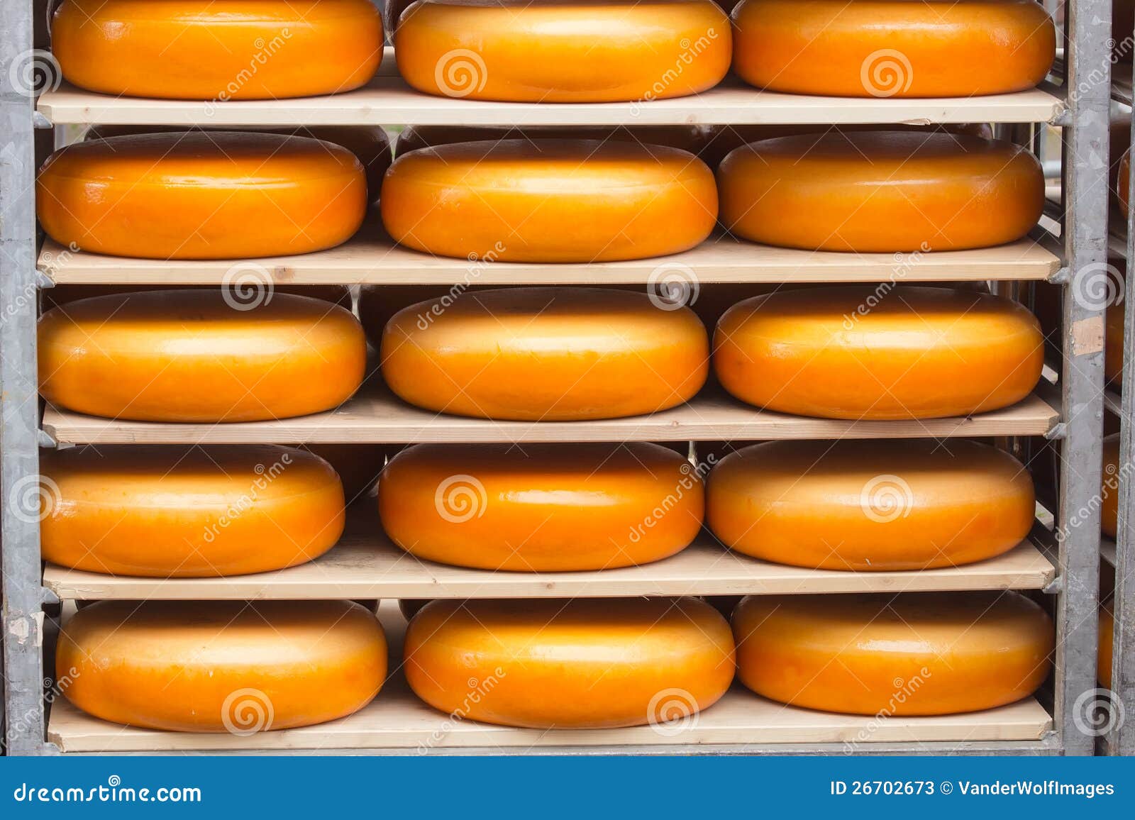 Dutch cheese stock image. Image of food, round, dutch - 26702673