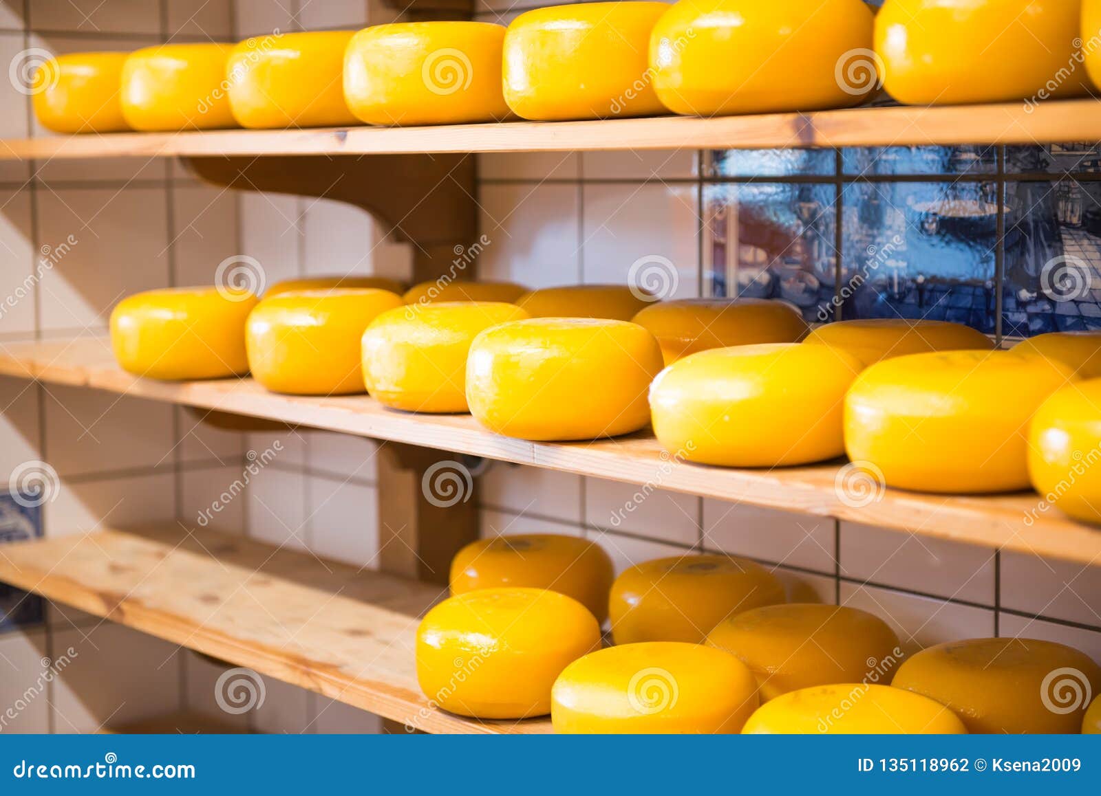 Dutch cheese factory stock photo. Image of manufacturing - 135118962