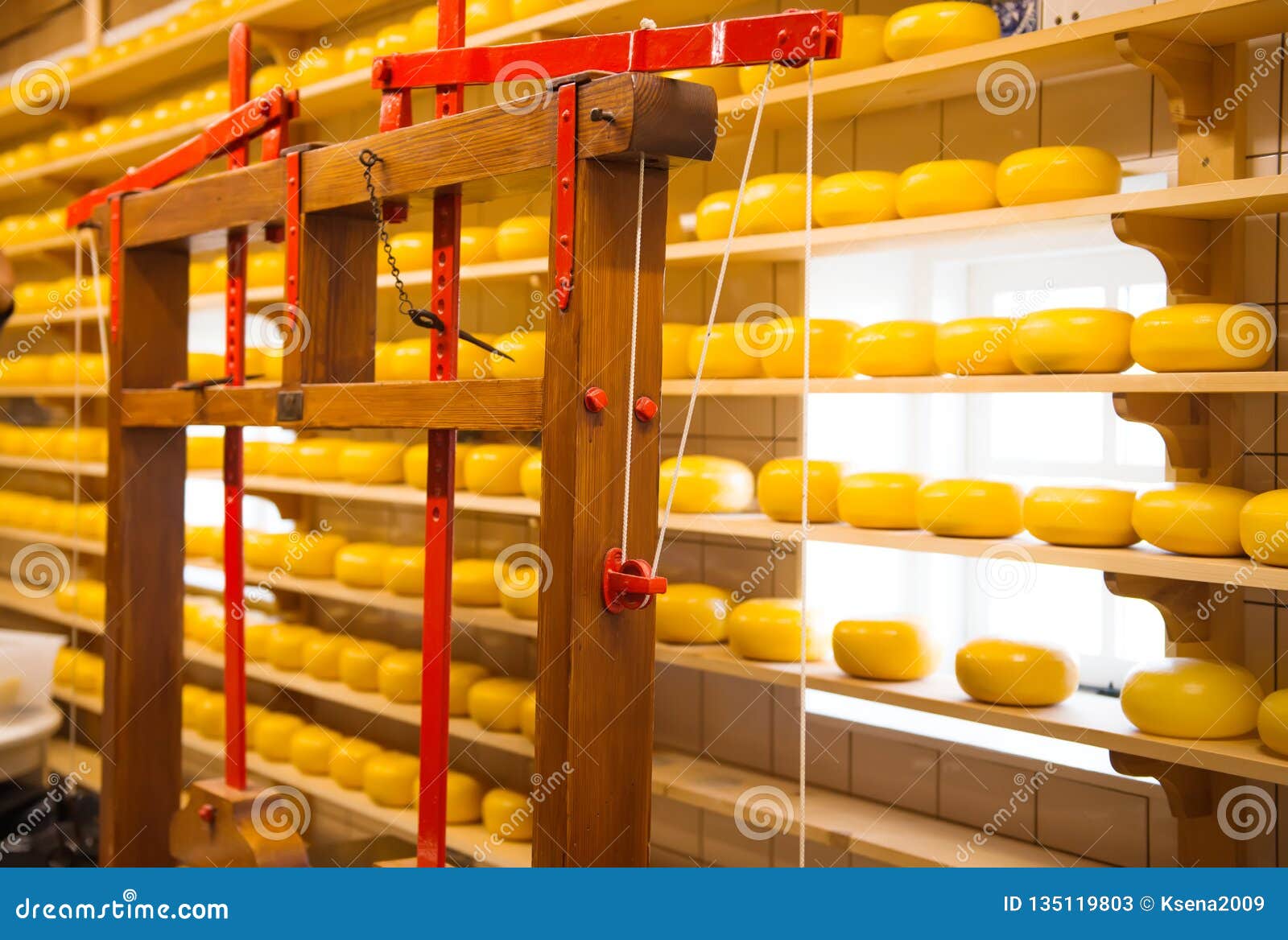 Dutch cheese factory stock image. Image of gouda, agriculture - 135119803