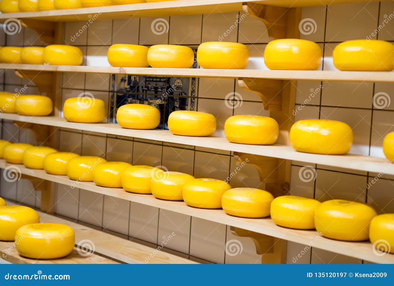 Dutch cheese factory stock image. Image of traditional - 135120197