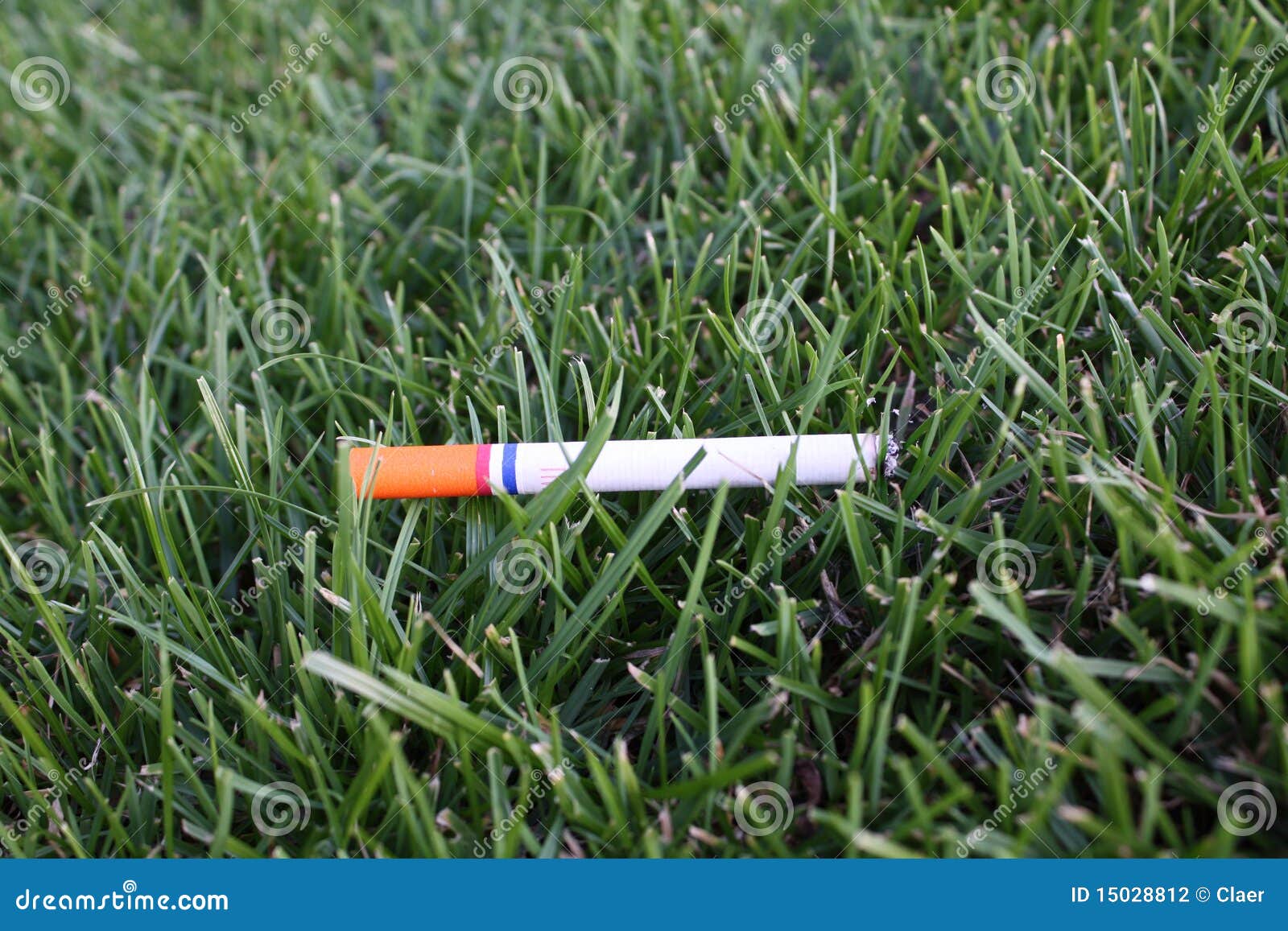 Dutch cigarette in grass stock photo. Image of world - 15028812