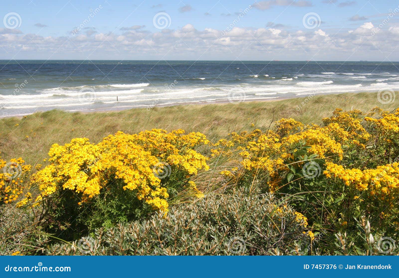 Dutch Coast in Spring stock photo. Image of seascape, spring - 7457376