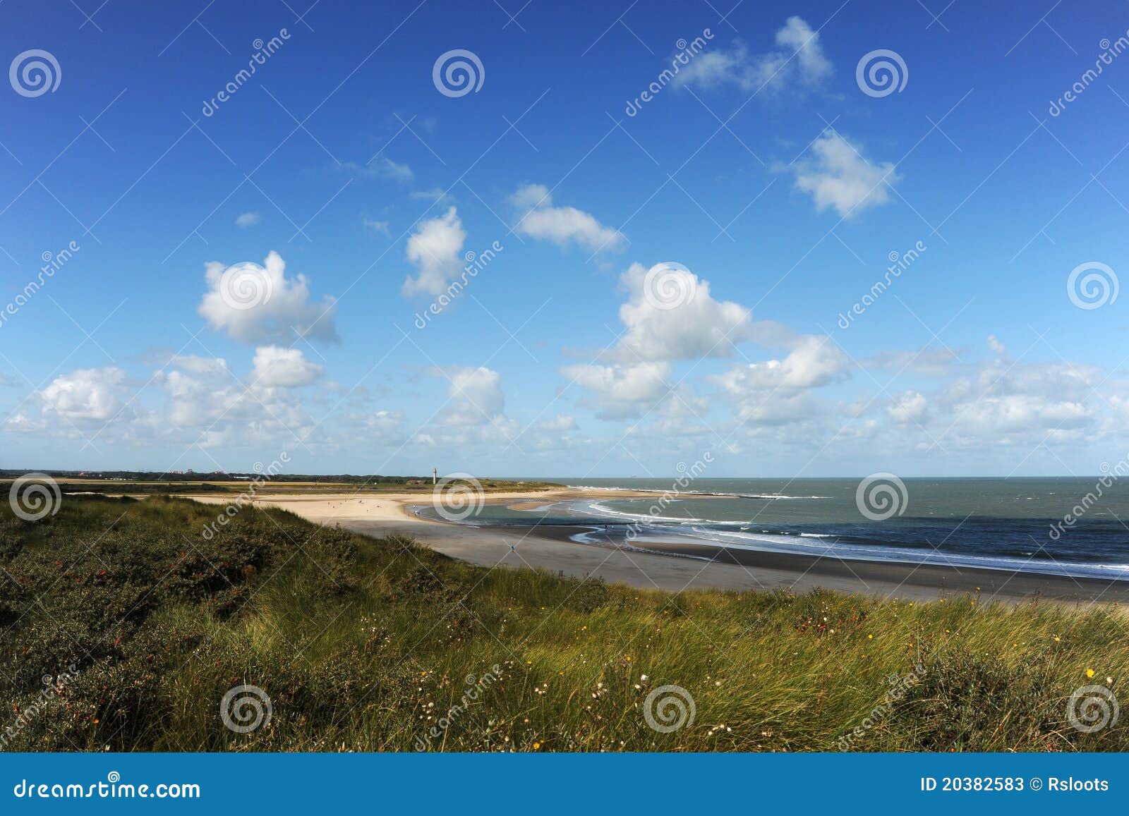 Dutch coastline stock image. Image of sand, scenery, spring - 20382583