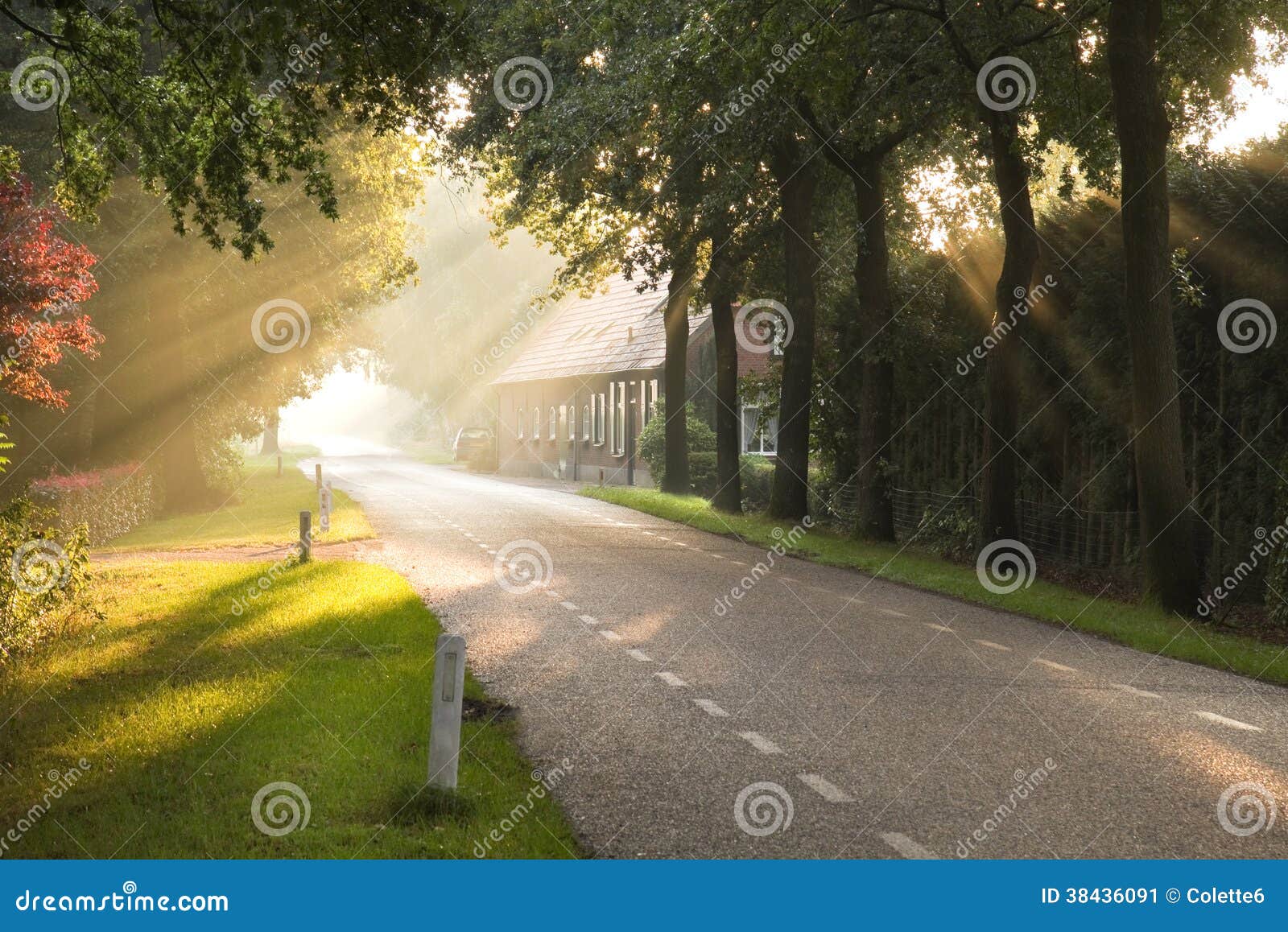 Dutch Country Road and Farm Stock Image - Image of farmland, meadow ...