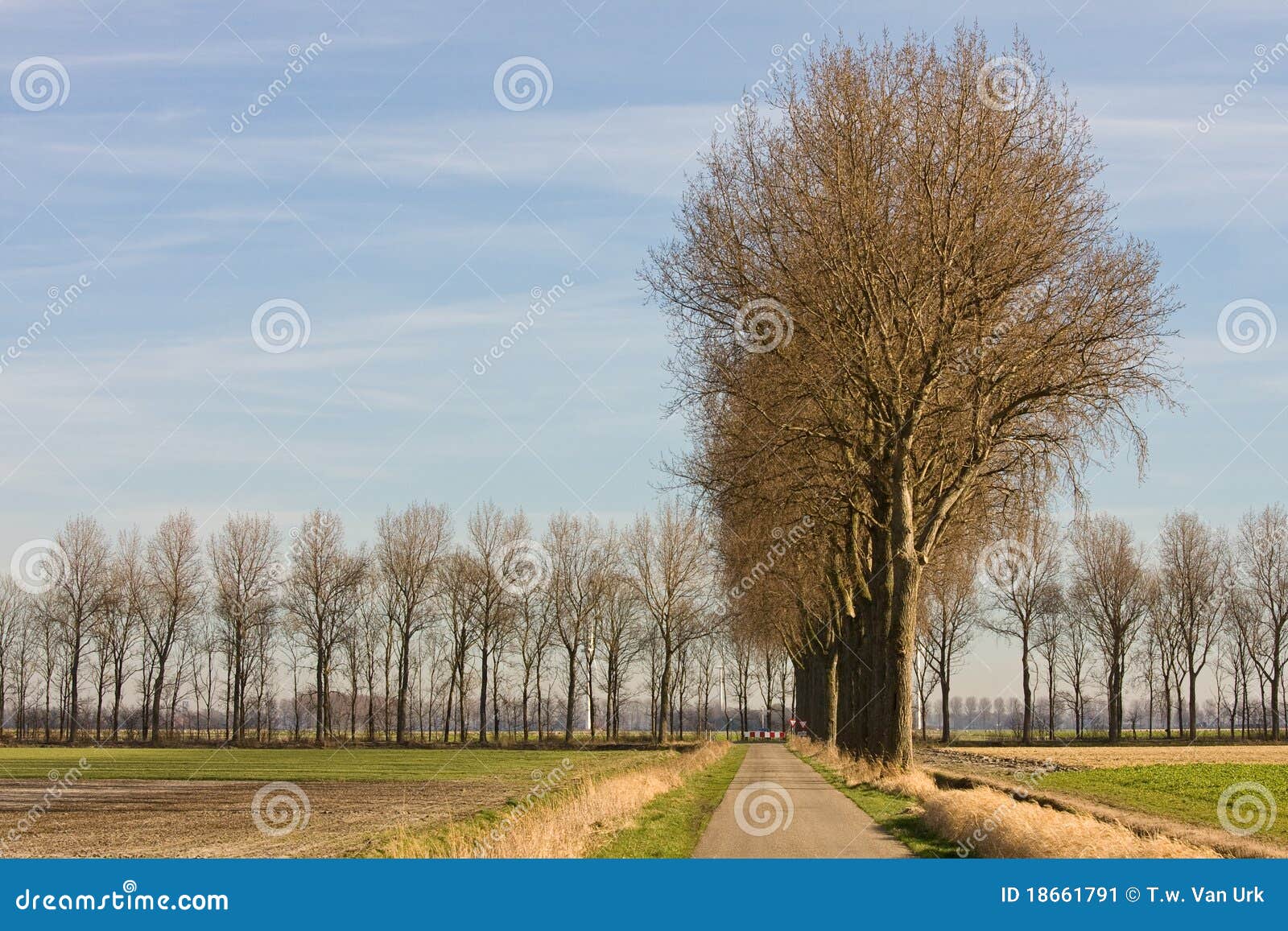 Dutch Countryroad in Springtime Stock Image - Image of netherlands ...
