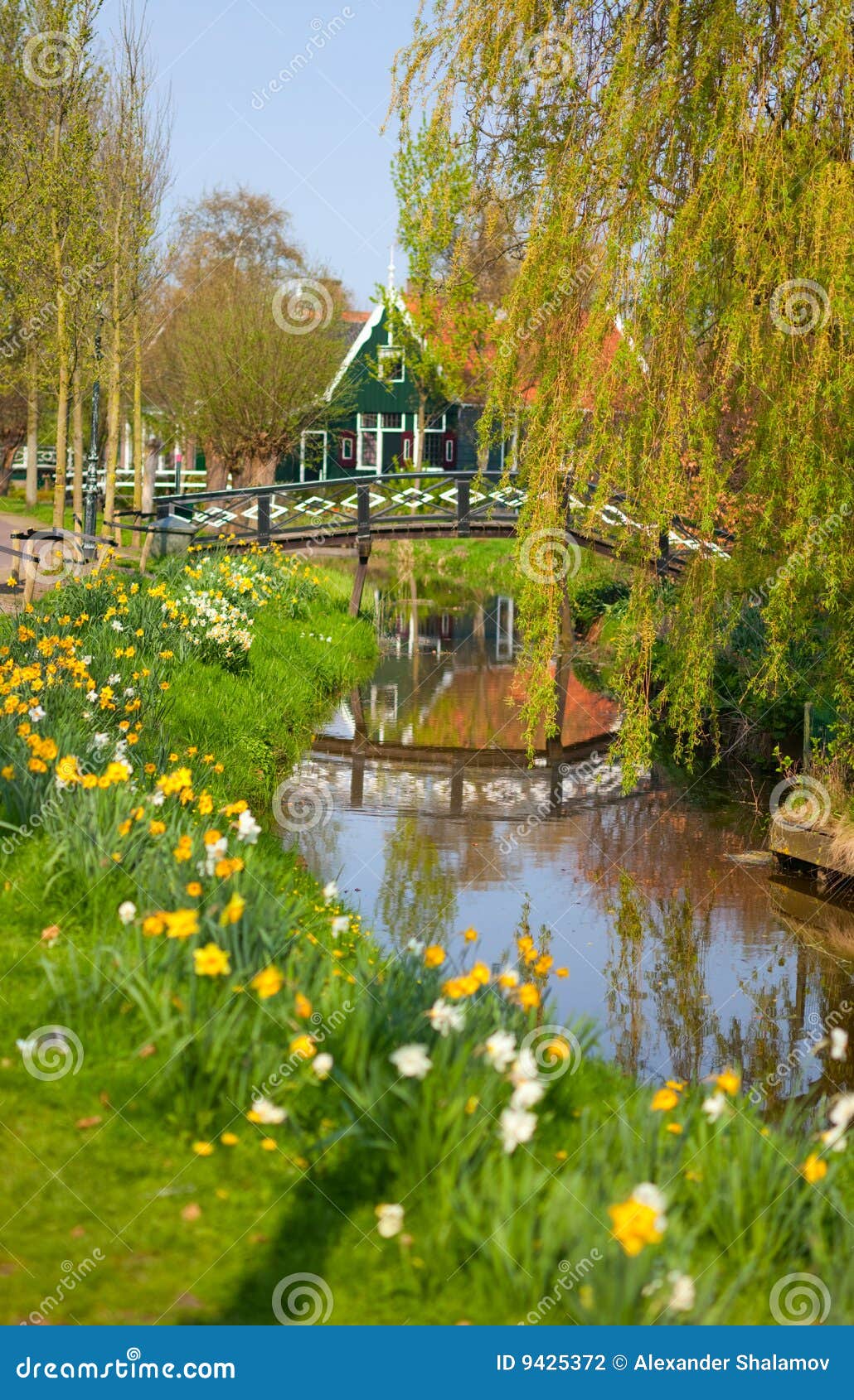 Dutch Countryside stock photo. Image of countryside, peace - 9425372