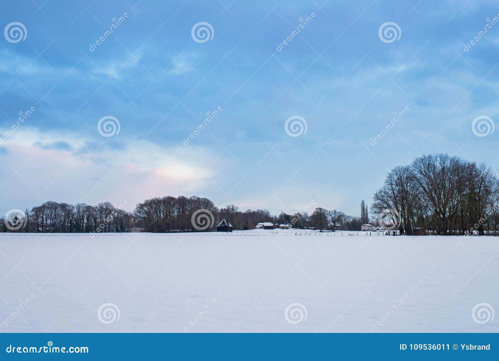 Dutch Countryside in Snow with Blue Cloudy Sky at Sunset. Stock Image ...