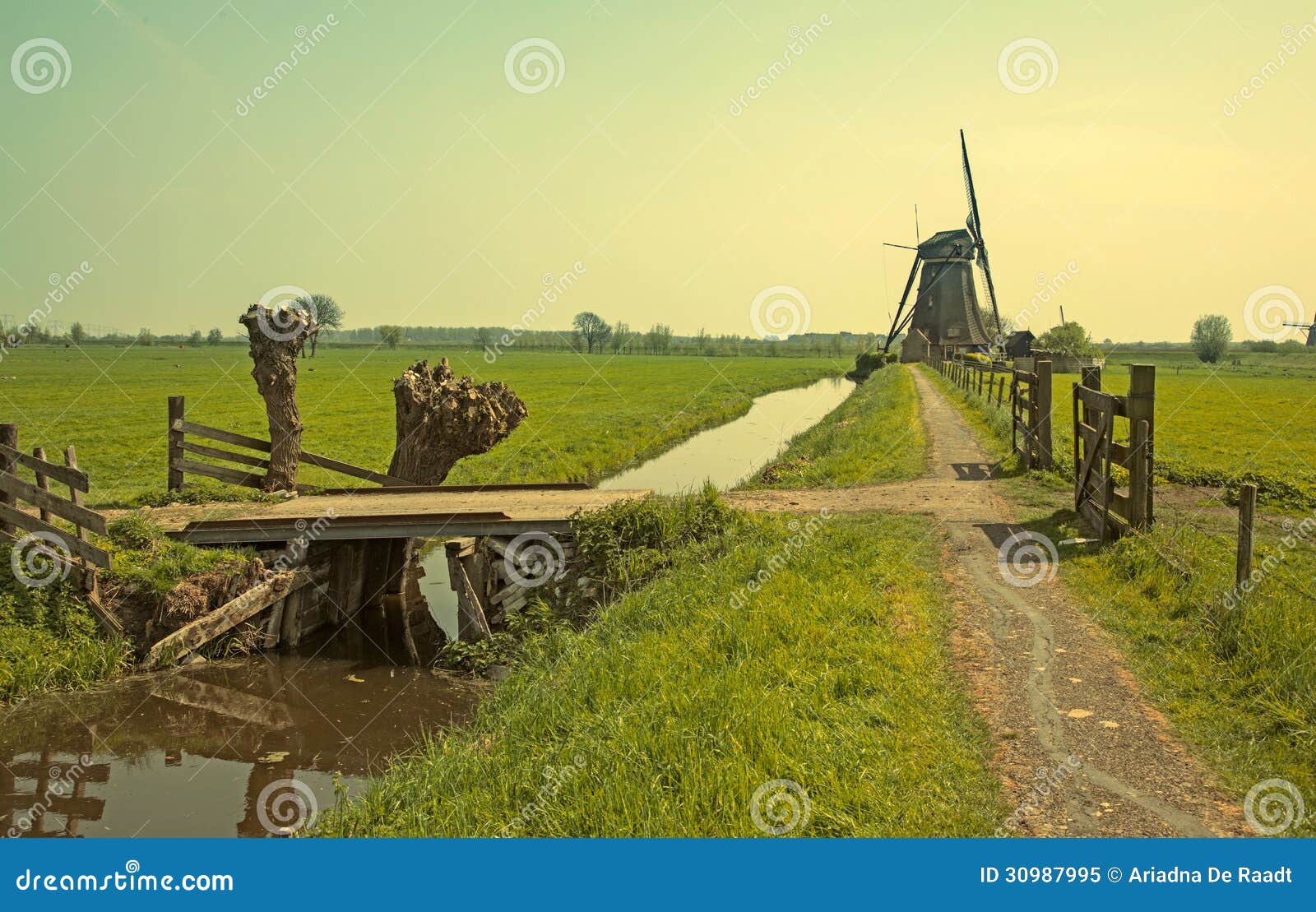 Dutch countryside stock image. Image of country, fence - 30987995