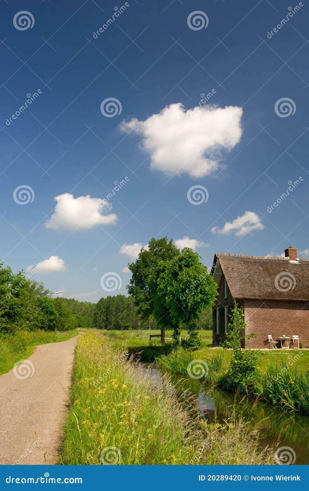 Dutch with ditch and house stock photo. Image of holland - 20289420