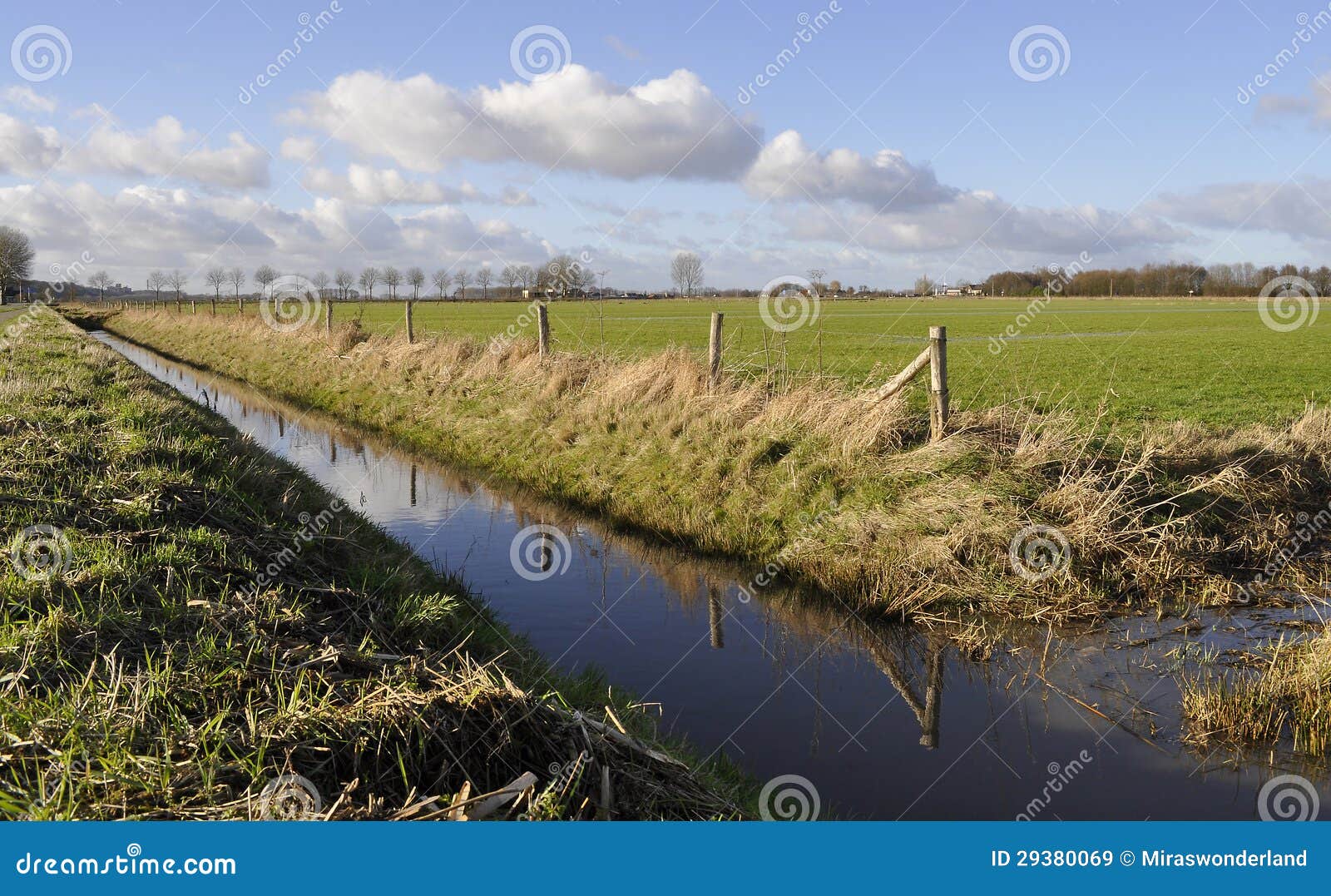 Dutch Ditch in a Grass-land Stock Image - Image of dutch, flora: 29380069