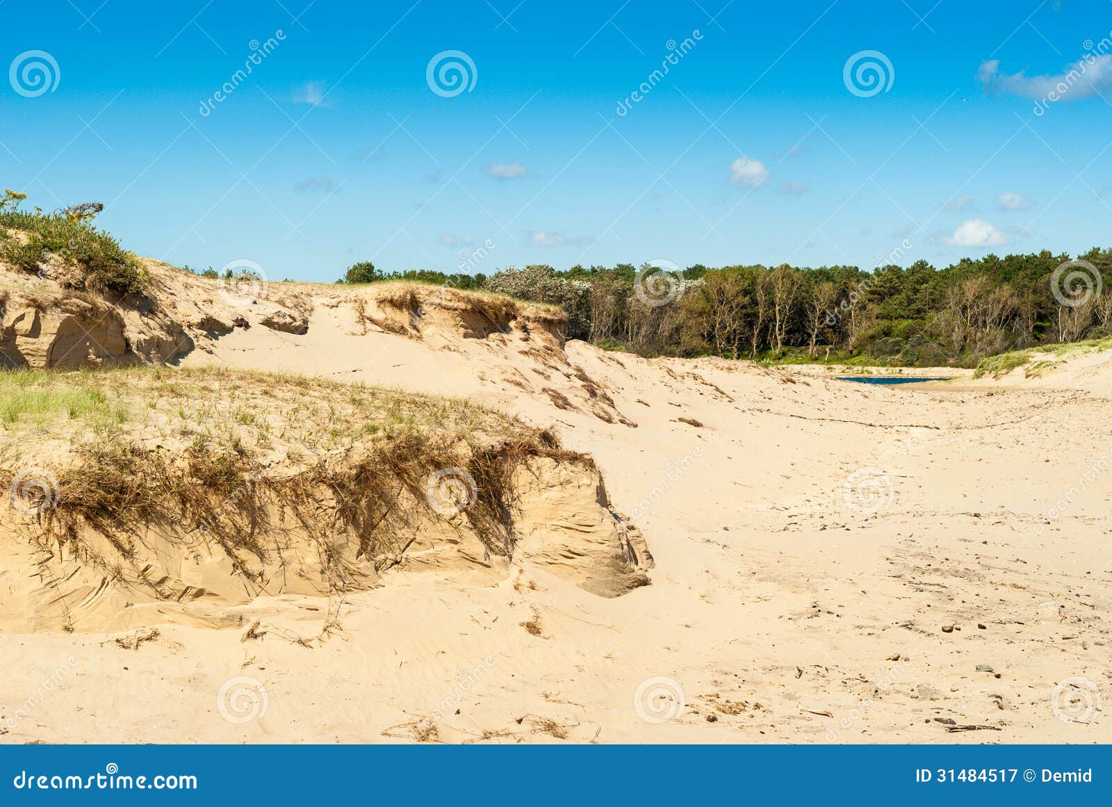 Dutch dunes stock image. Image of rural, netherlands - 31484517