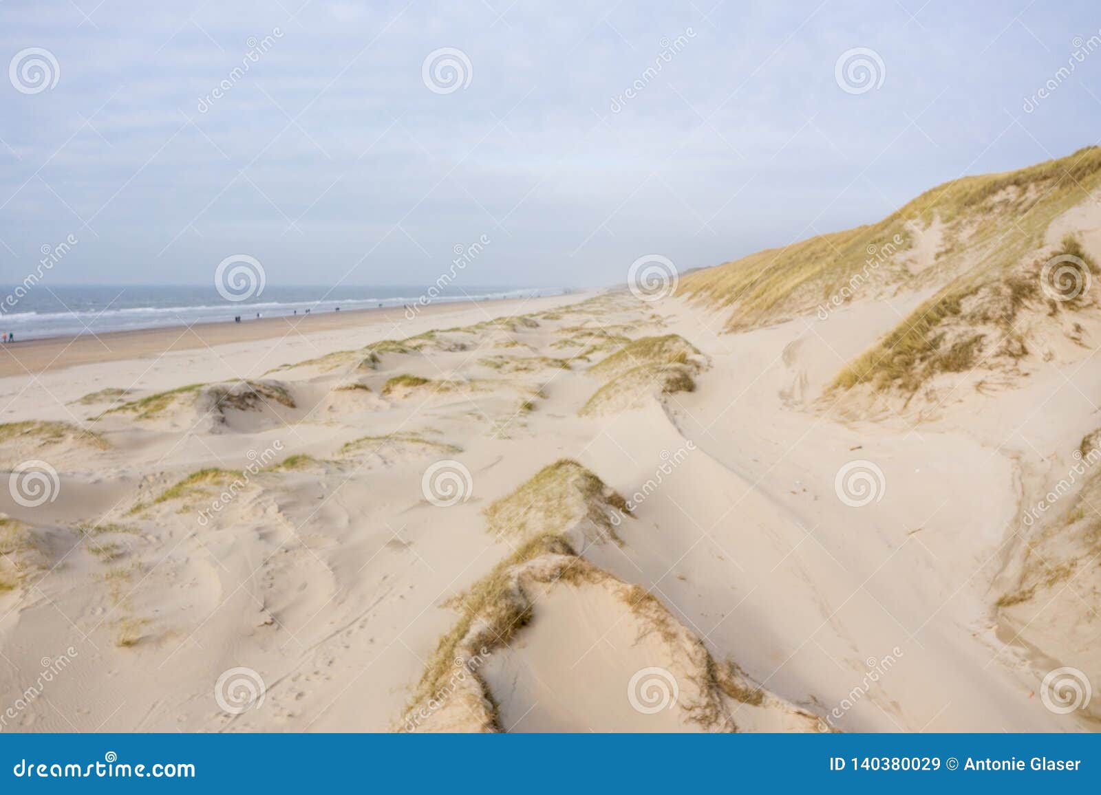 Dutch Coastline with Dunes by the Sea from Above Stock Image - Image of ...