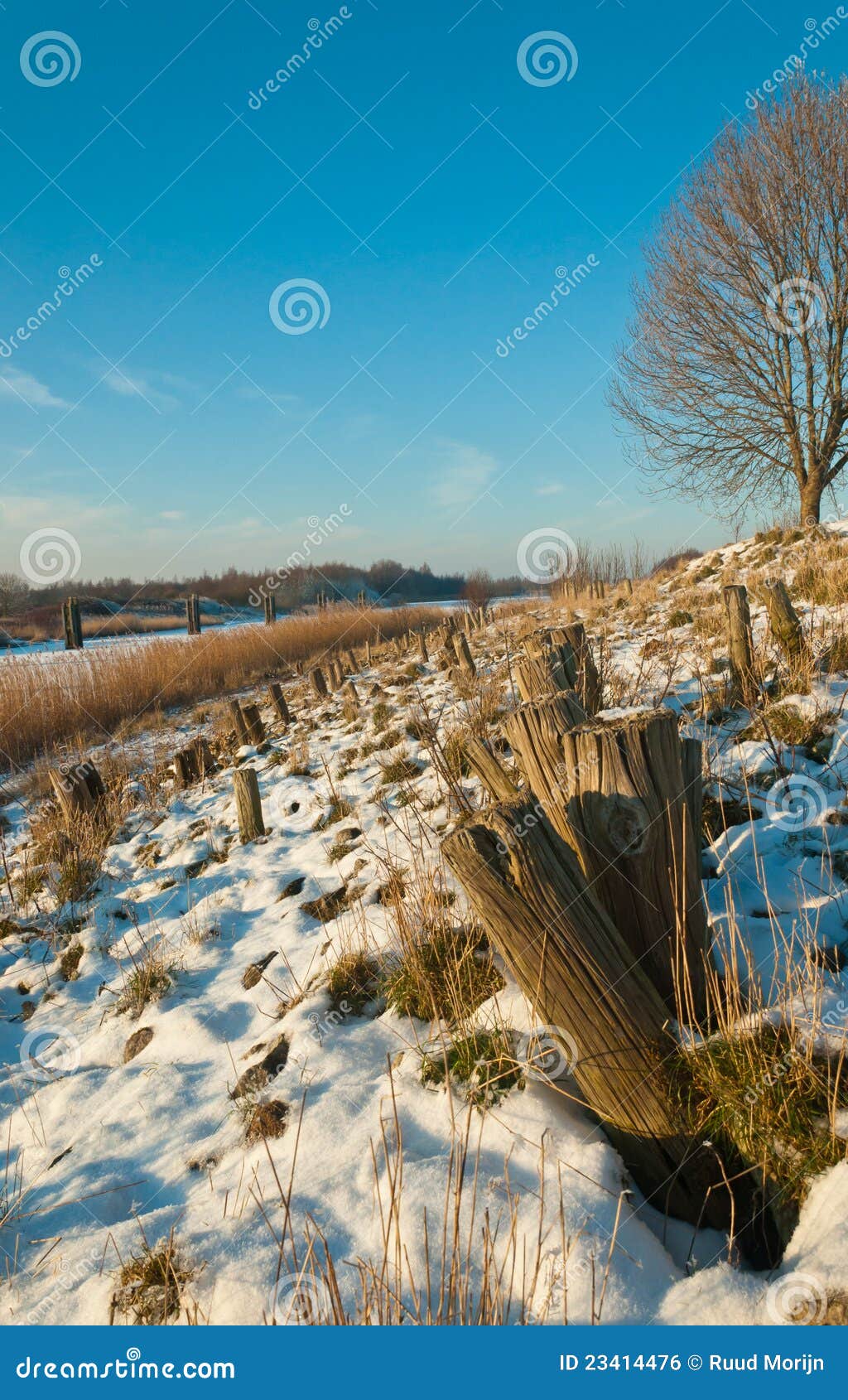 A Dutch Embankment in Winter Stock Photo - Image of beauty, cold: 23414476