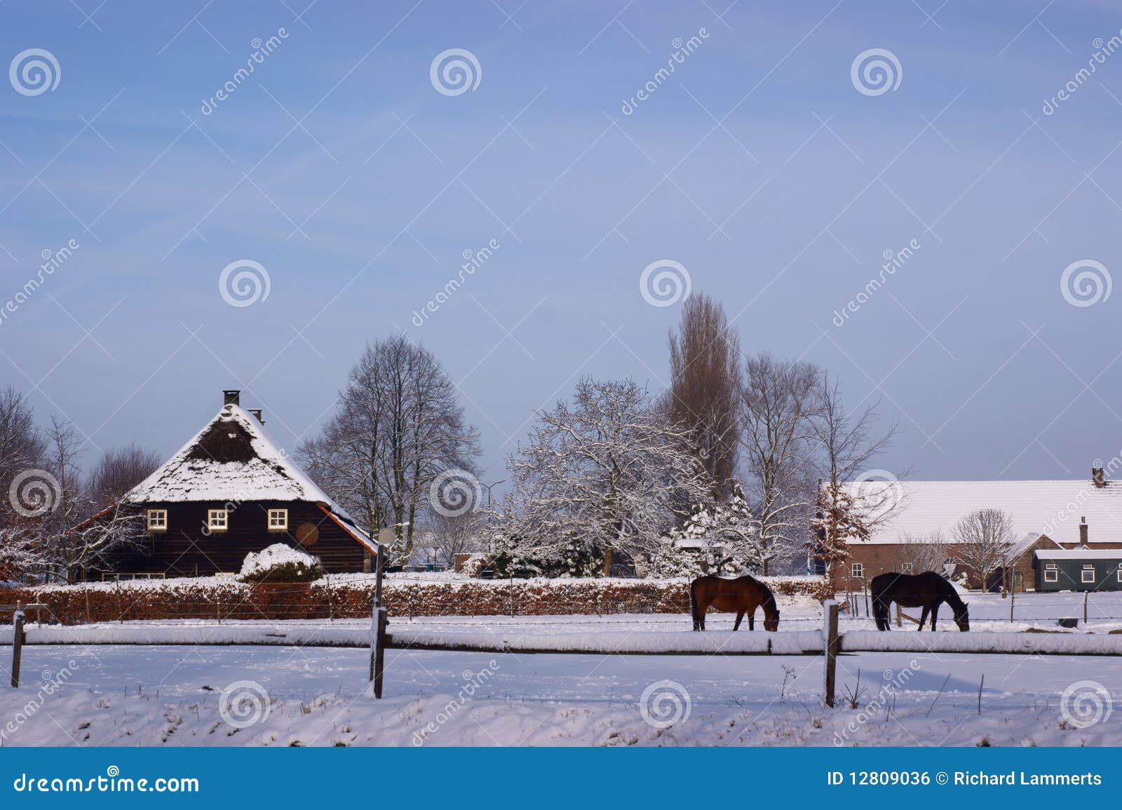 Dutch farm stock photo. Image of farm, snow, vintage - 12809036