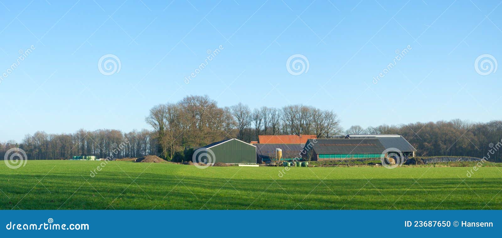 Dutch farm stock photo. Image of flat, farm, barns, buildings - 23687650