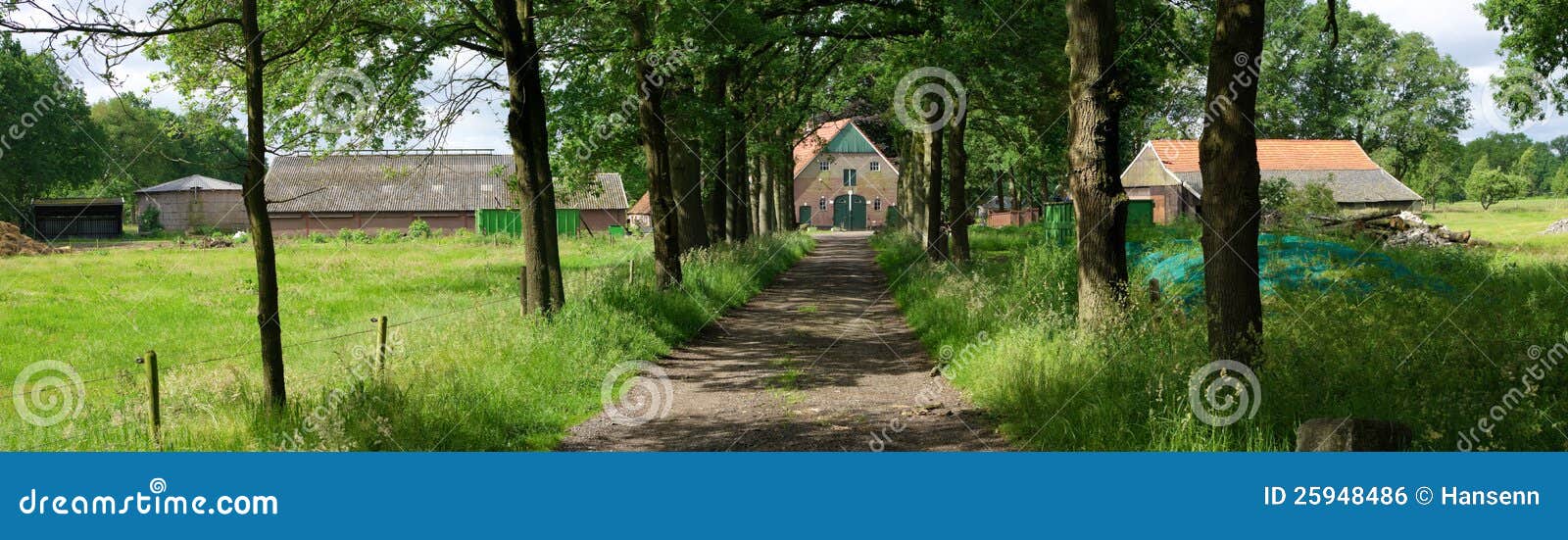 Dutch farm stock photo. Image of architecture, meadow - 25948486