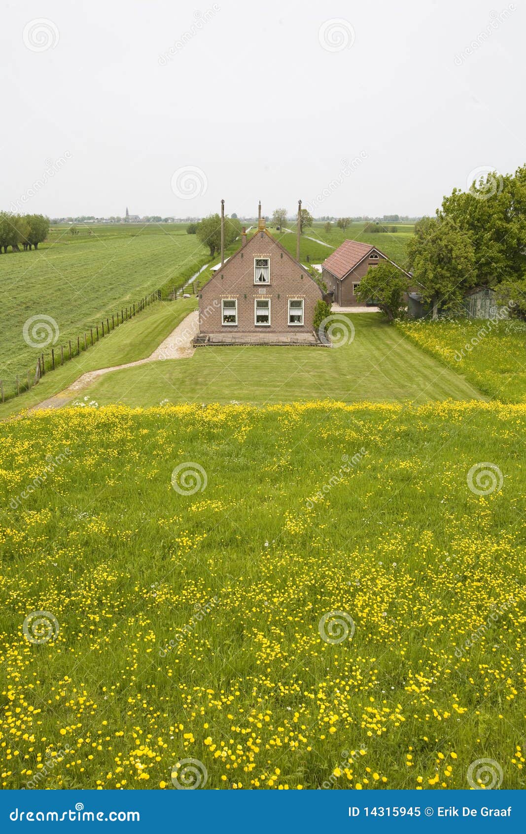 Dutch Farm With White Stork Nest, Nederlandse Boerderij Met ...