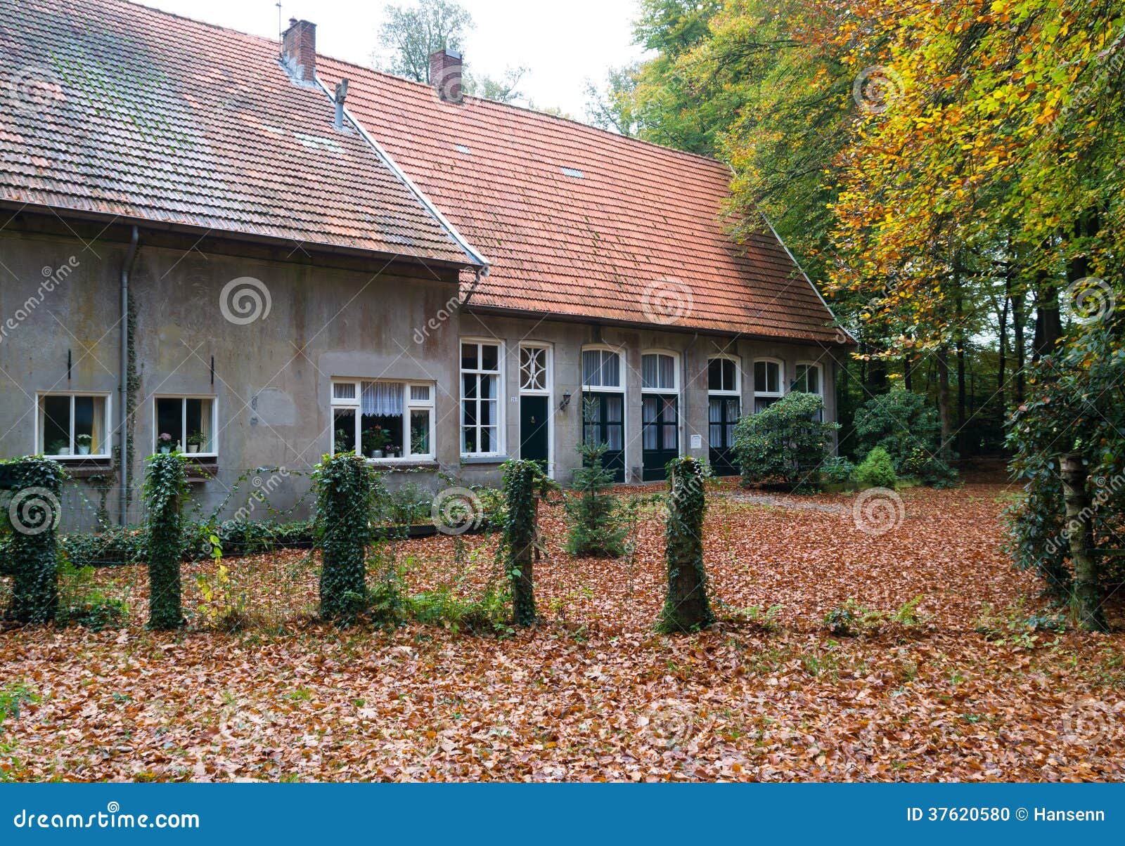 Dutch farm house stock photo. Image of fall, rural, colorful - 37620580