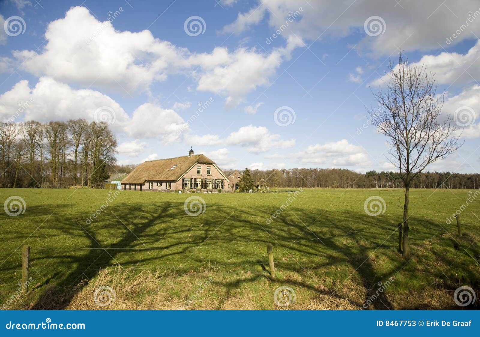 Dutch Farm With White Stork Nest, Nederlandse Boerderij Met ...