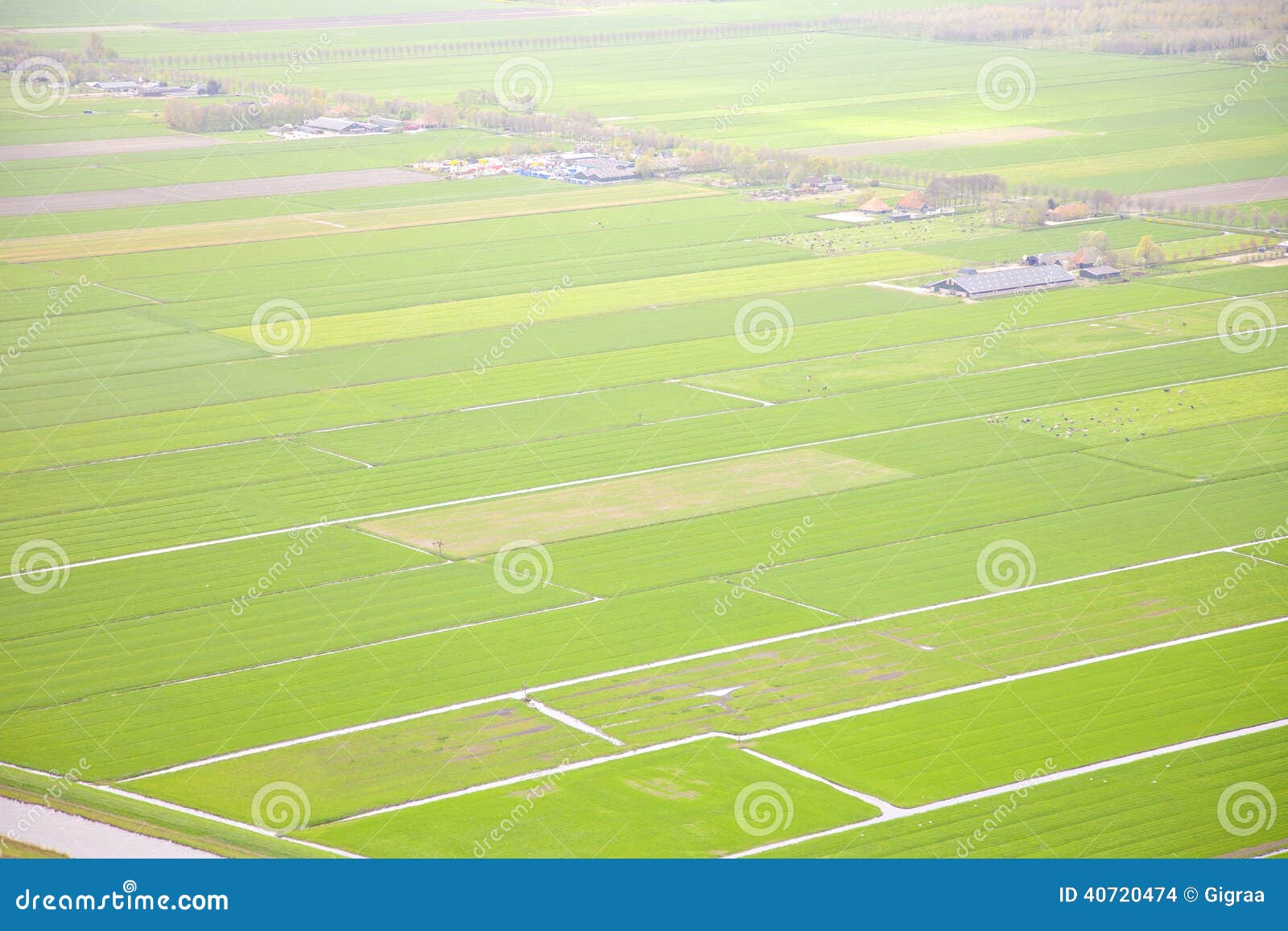 Dutch Farm Landscape from Above Stock Photo - Image of natural, land ...