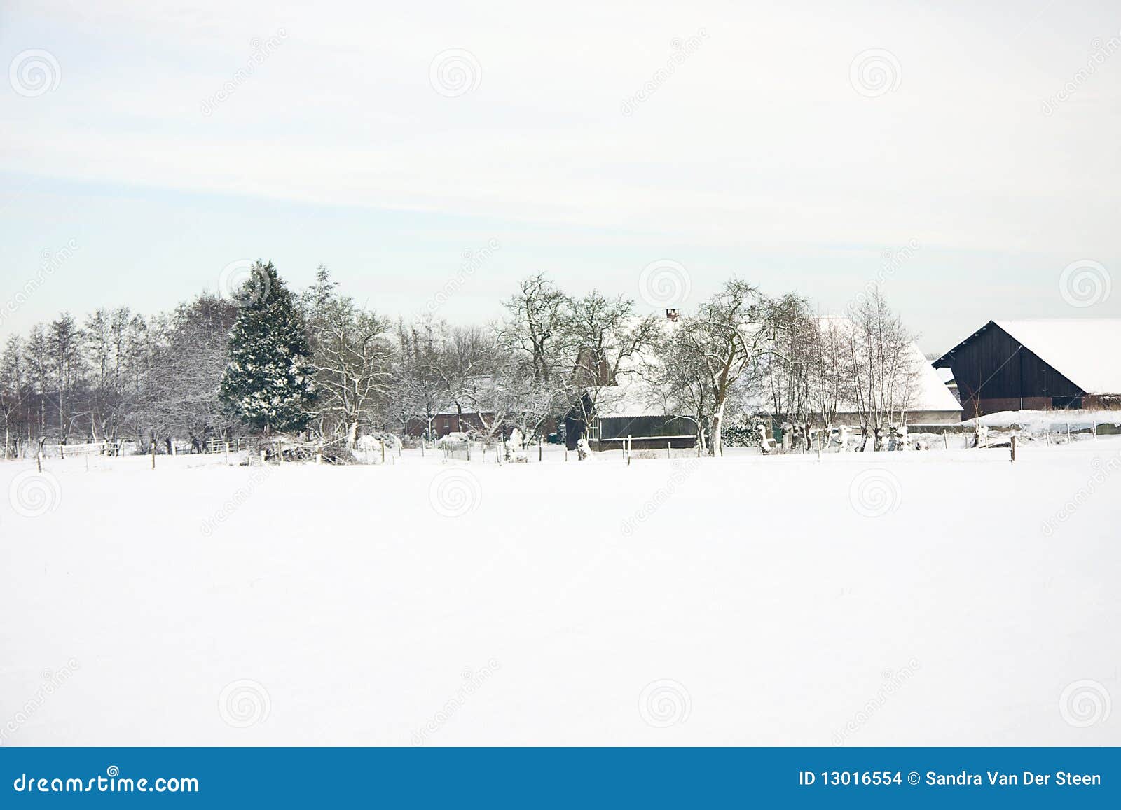 Dutch farm in the snow stock photo. Image of landscap - 13016554