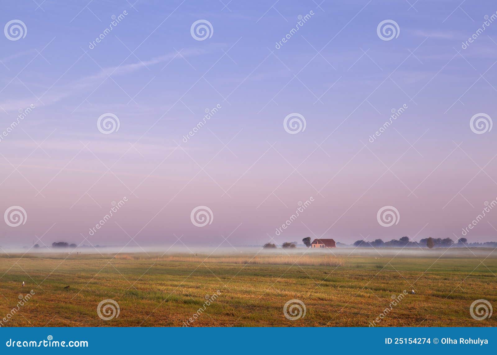 Dutch farm at sunrise stock photo. Image of field, nature - 25154274