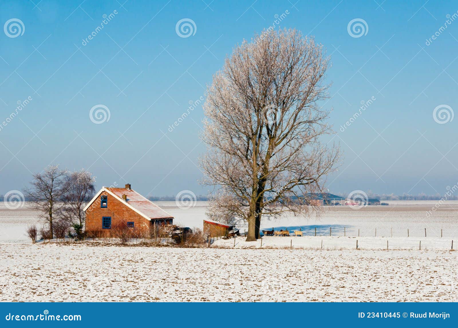 Dutch farm in winter stock image. Image of barn, farming - 23410445