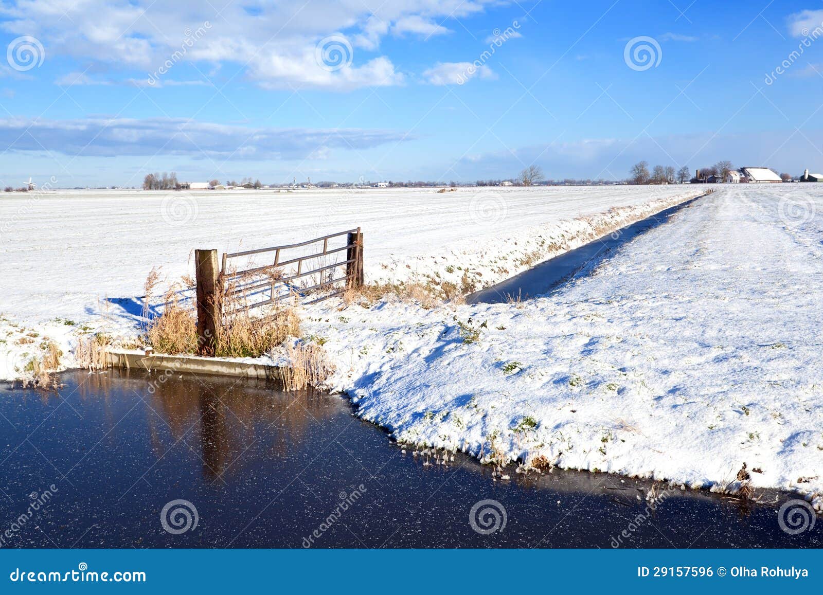 Dutch farmland in winter stock photo. Image of scenery - 29157596