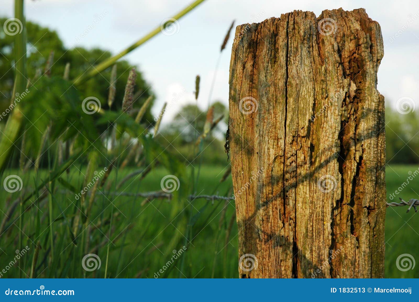 Dutch Fence Picture. Image: 1832513