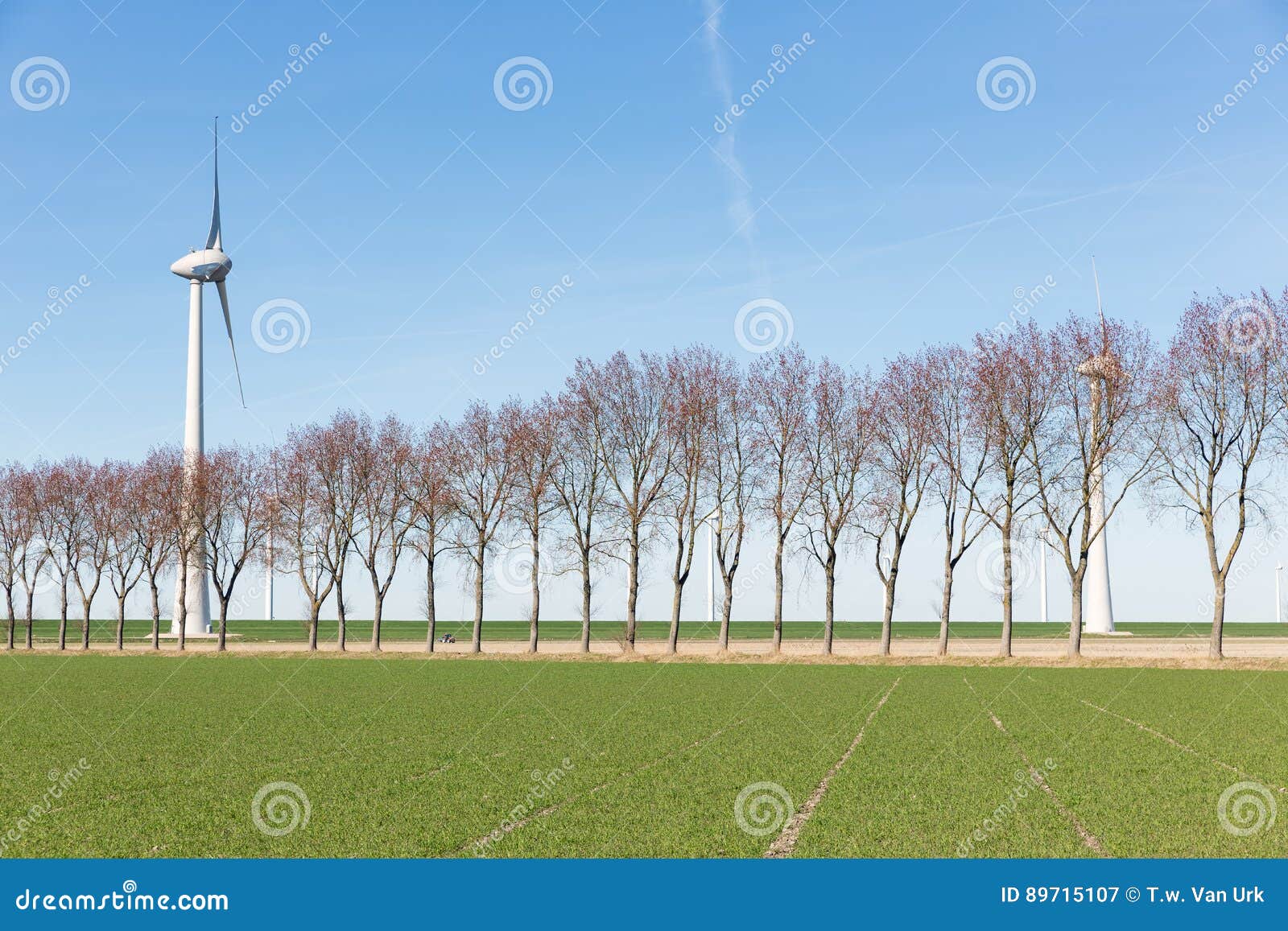 Dutch Field with a Row of Trees and a Windturbine Stock Image - Image ...