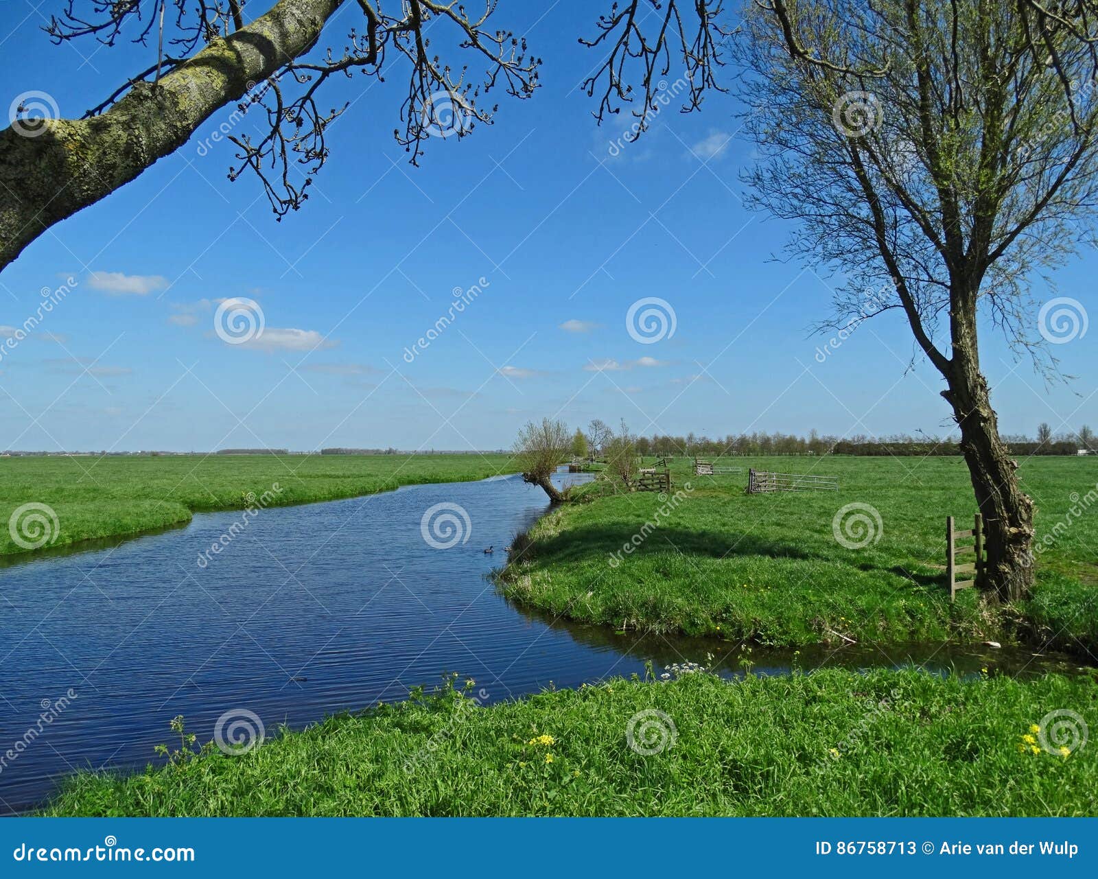 Dutch Fields Under a Blue Sky Stock Image - Image of rural, fields ...