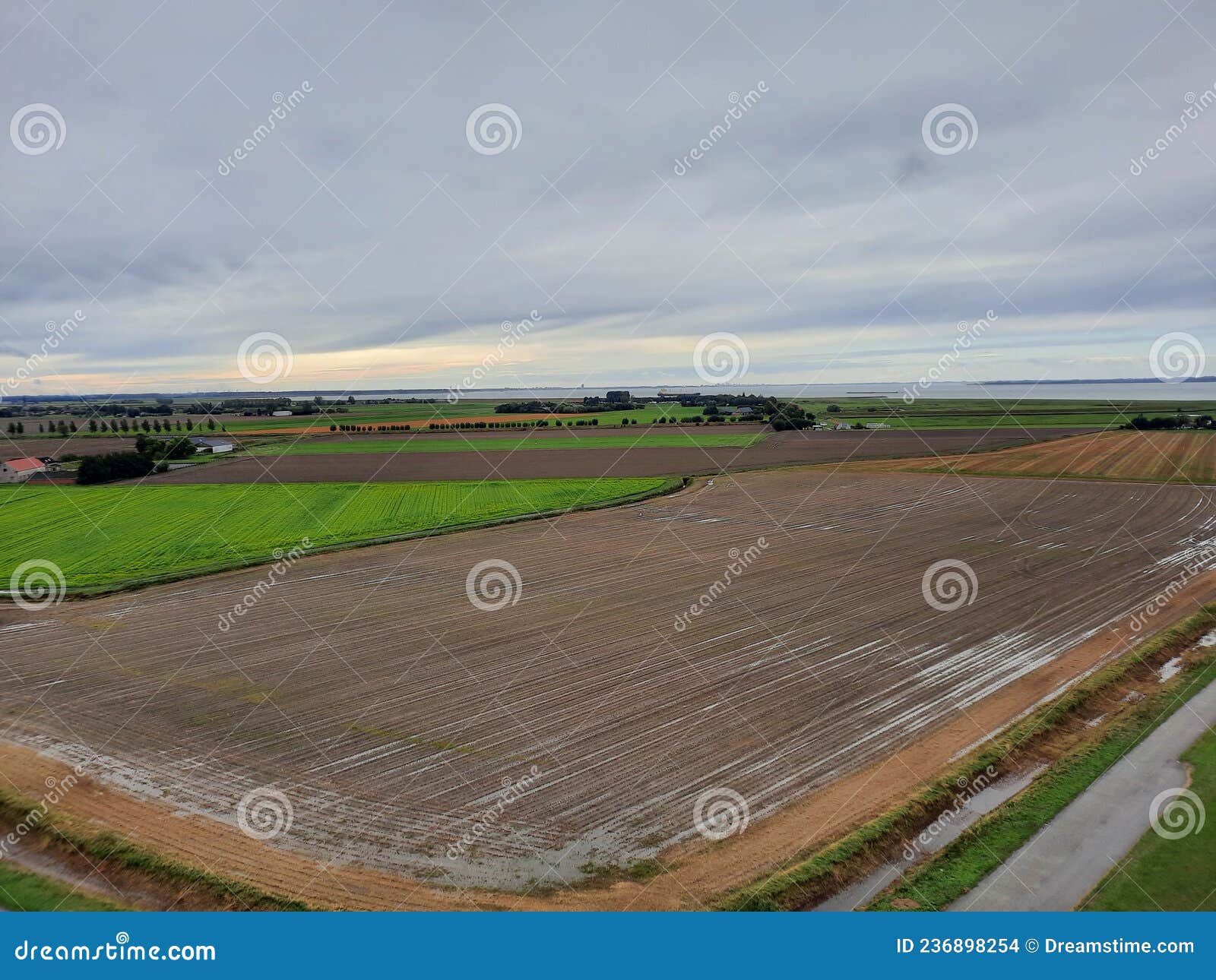 Dutch fields, zeeland stock photo. Image of landscape - 236898254
