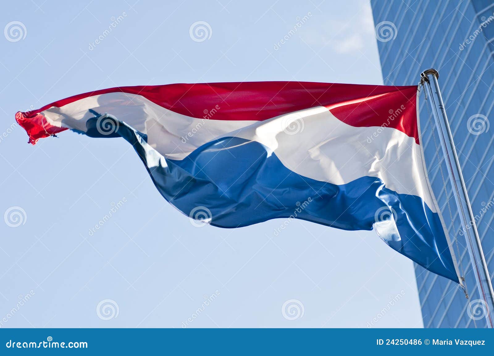 Dutch flag stock photo. Image of outdoors, colorful, blue - 24250486